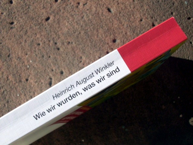 Wie wir wurden, was wir sind. Eine kurze Geschichte der Deutschen ...