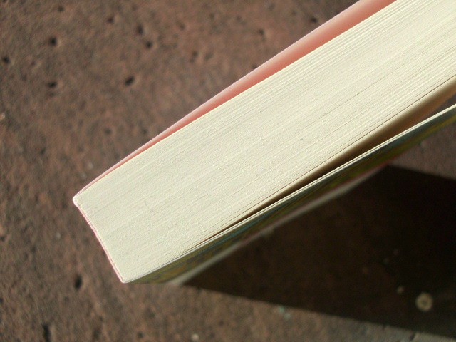 Wie wir wurden, was wir sind. Eine kurze Geschichte der Deutschen ...