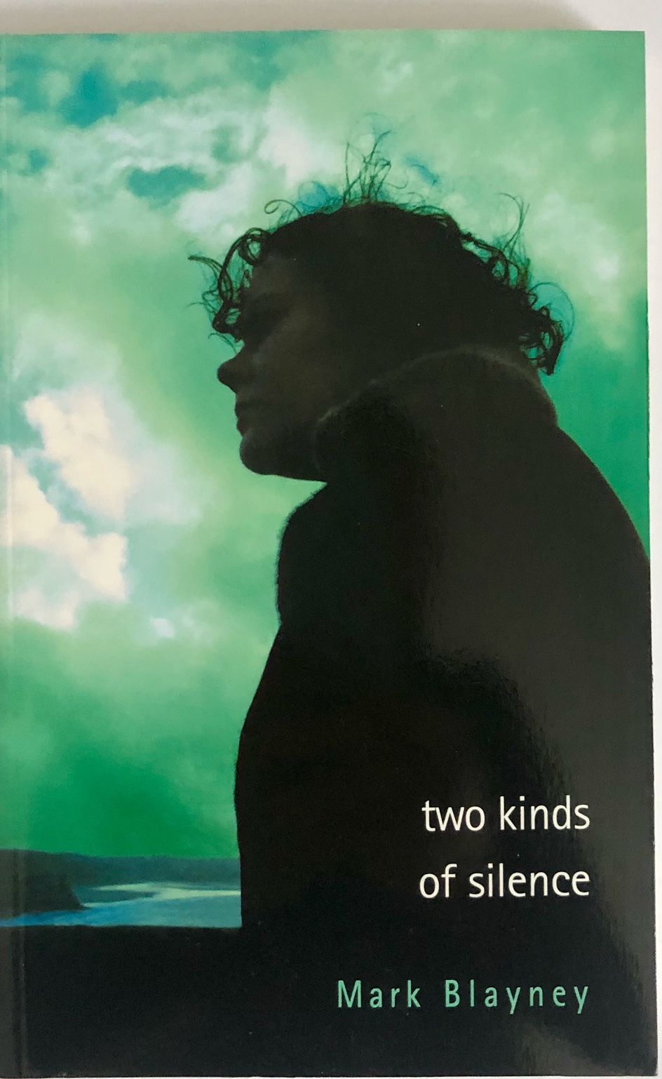 TWO KINDS OF SILENCE by Blayney, Mark: Fine Soft cover (2003) 1st ...