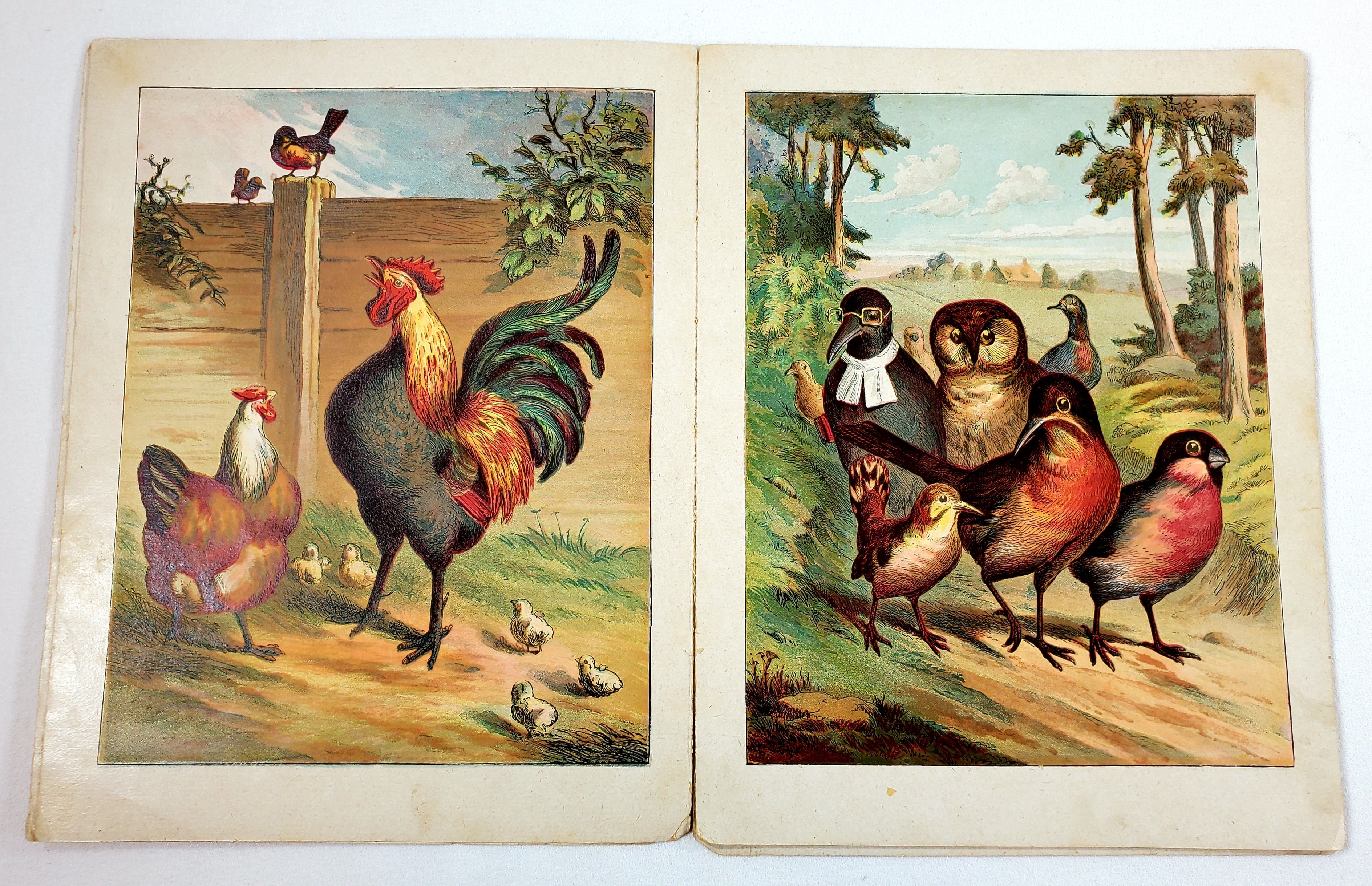 The Story of Cock Robin. Cock Robin Series by McLoughlin Bros: Fair ...