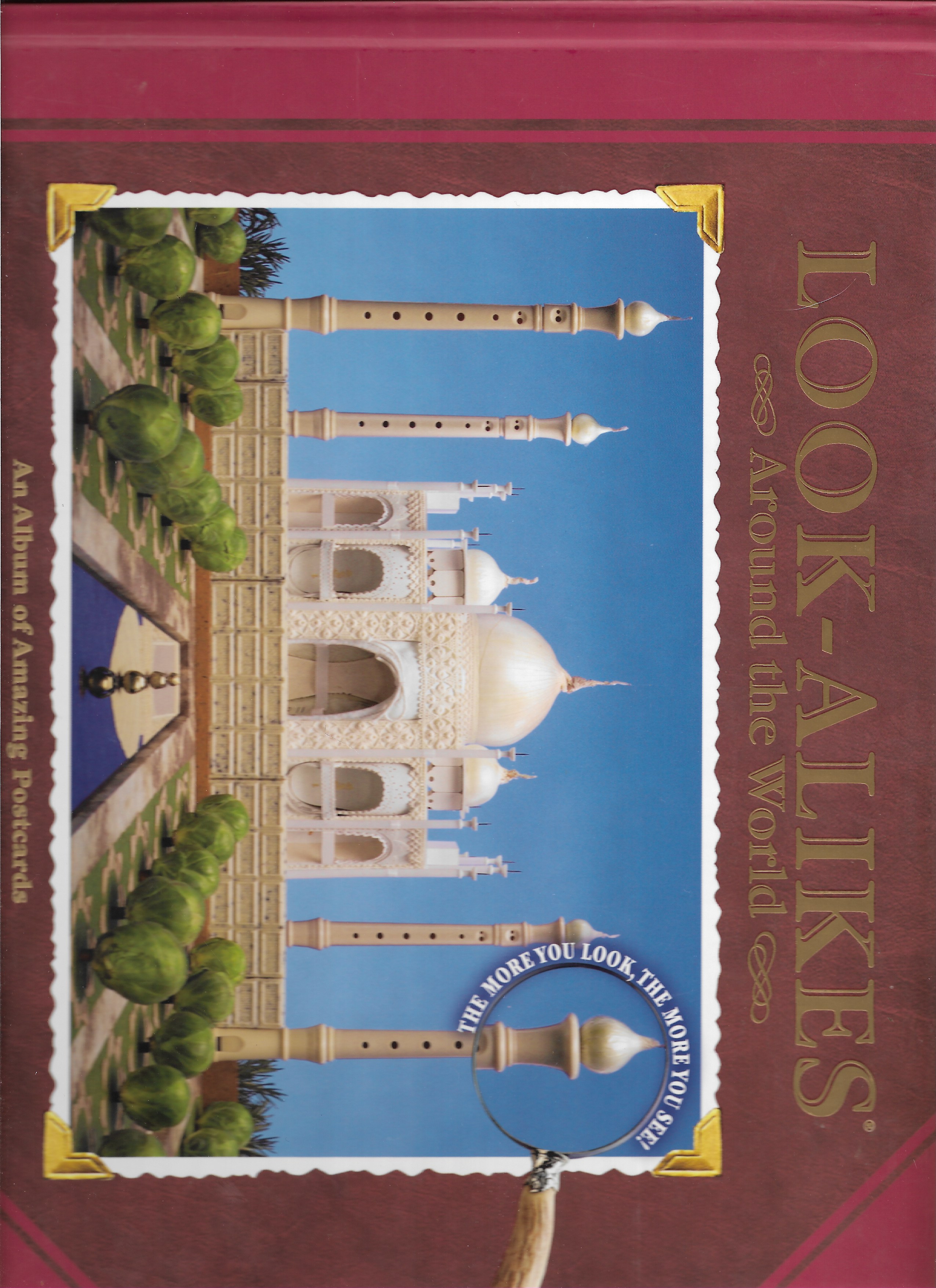 Look - Alikes Around the World by Joan Steiner: Very Good Hardcover ...