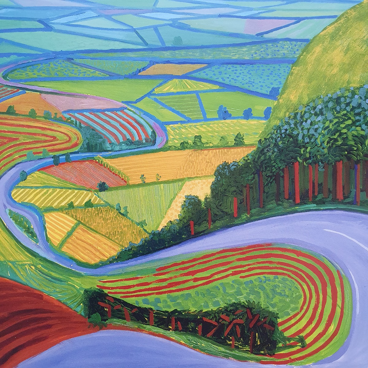 David Hockney: A Bigger Picture by Texts by Edith Devaney, Marco ...