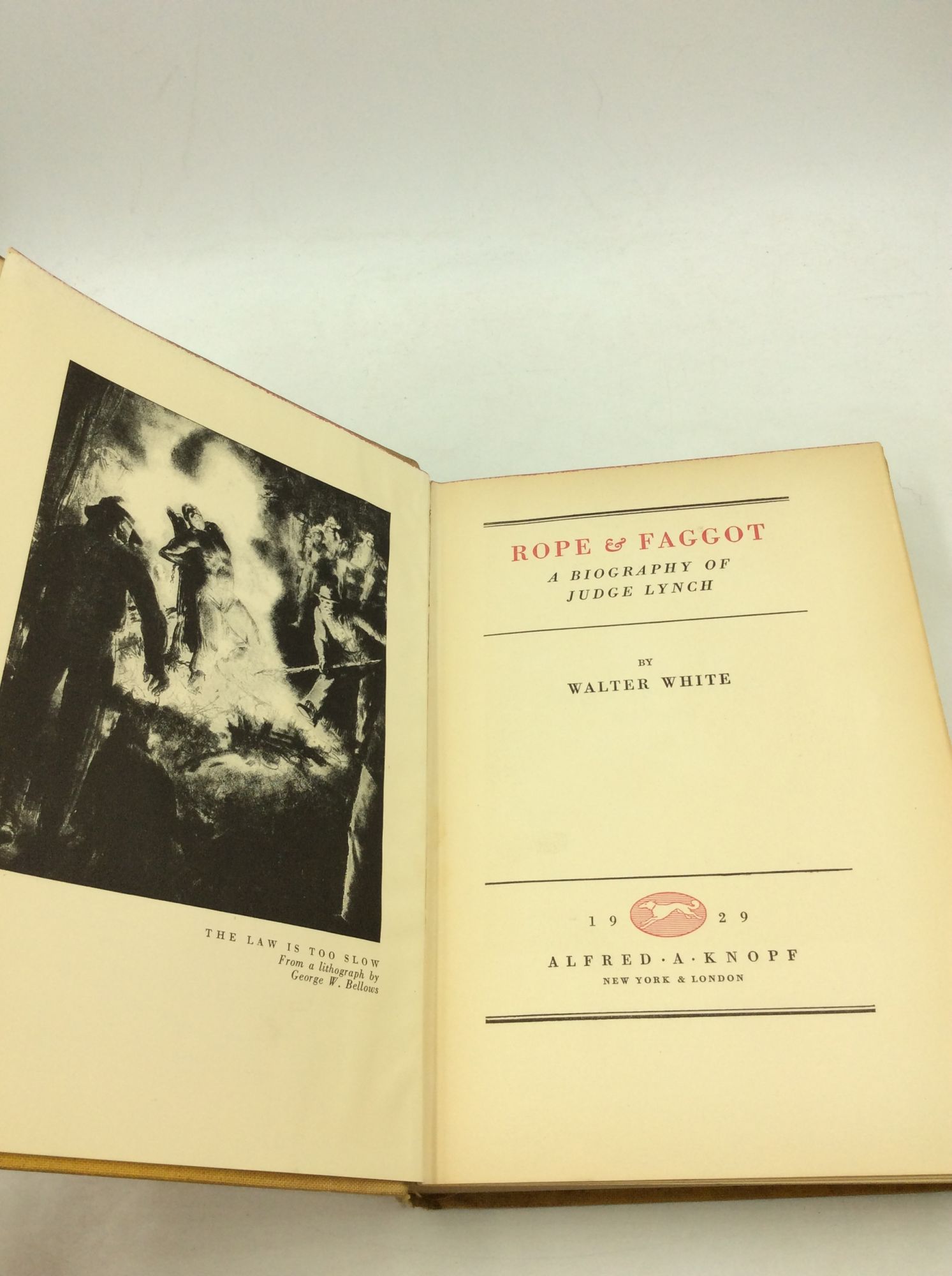 ROPE & FAGGOT: A Biography of Judge Lynch by Walter White: Hardcover ...