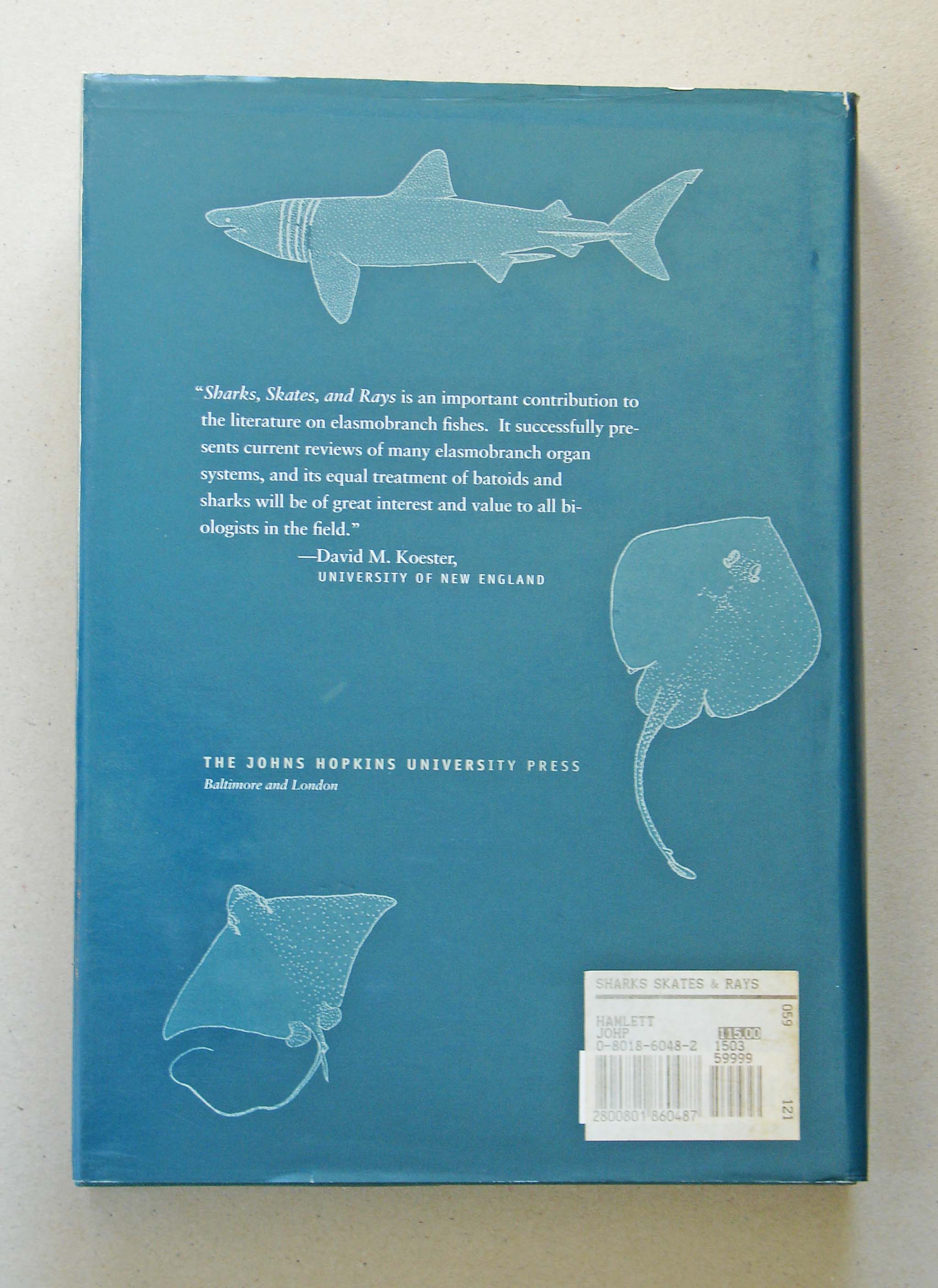 Sharks, Skates, and Rays The Biology Of Elasmobranch Fishes by Hamlett ...