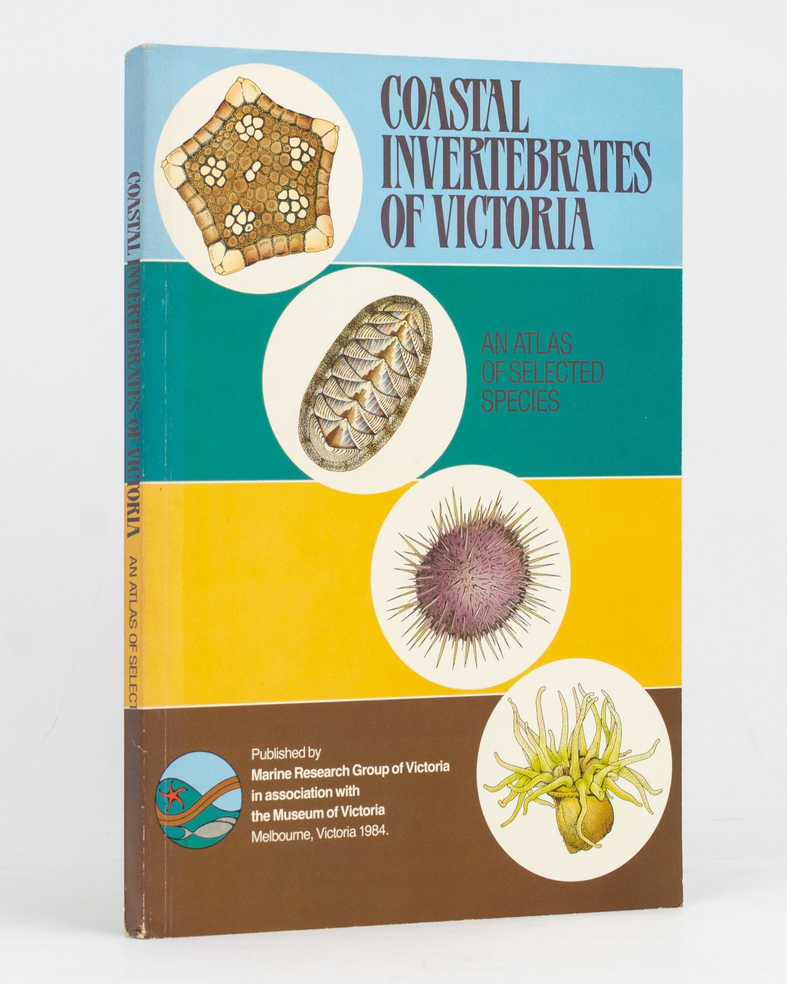 Coastal Invertebrates of Victoria. An Atlas of Selected Species by ...