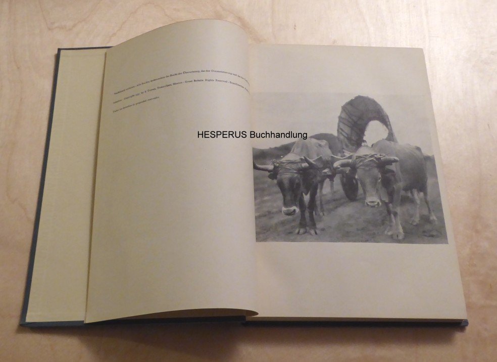 Der Karren by Traven, B. (alias Ret Marut alias Otto Feige alias ...