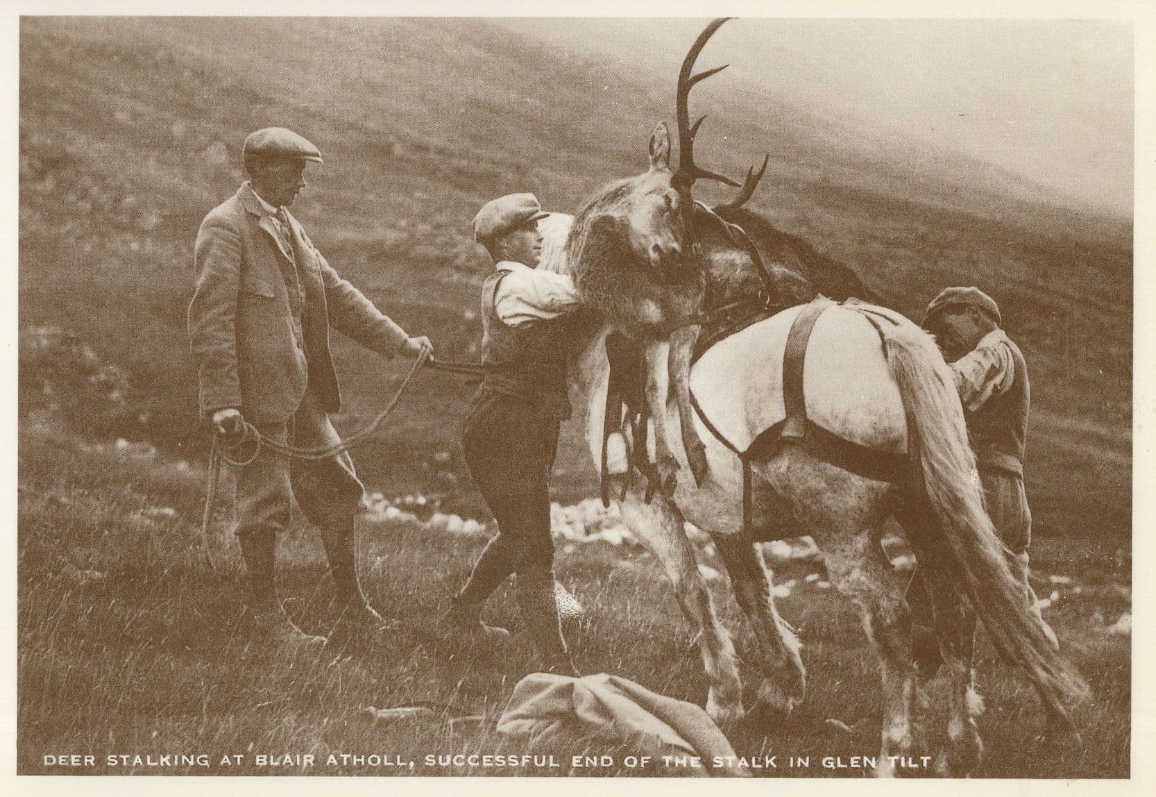 Deer Stalking At Blair Atholl Animal Hunting Rare Postcard: Manuscript ...