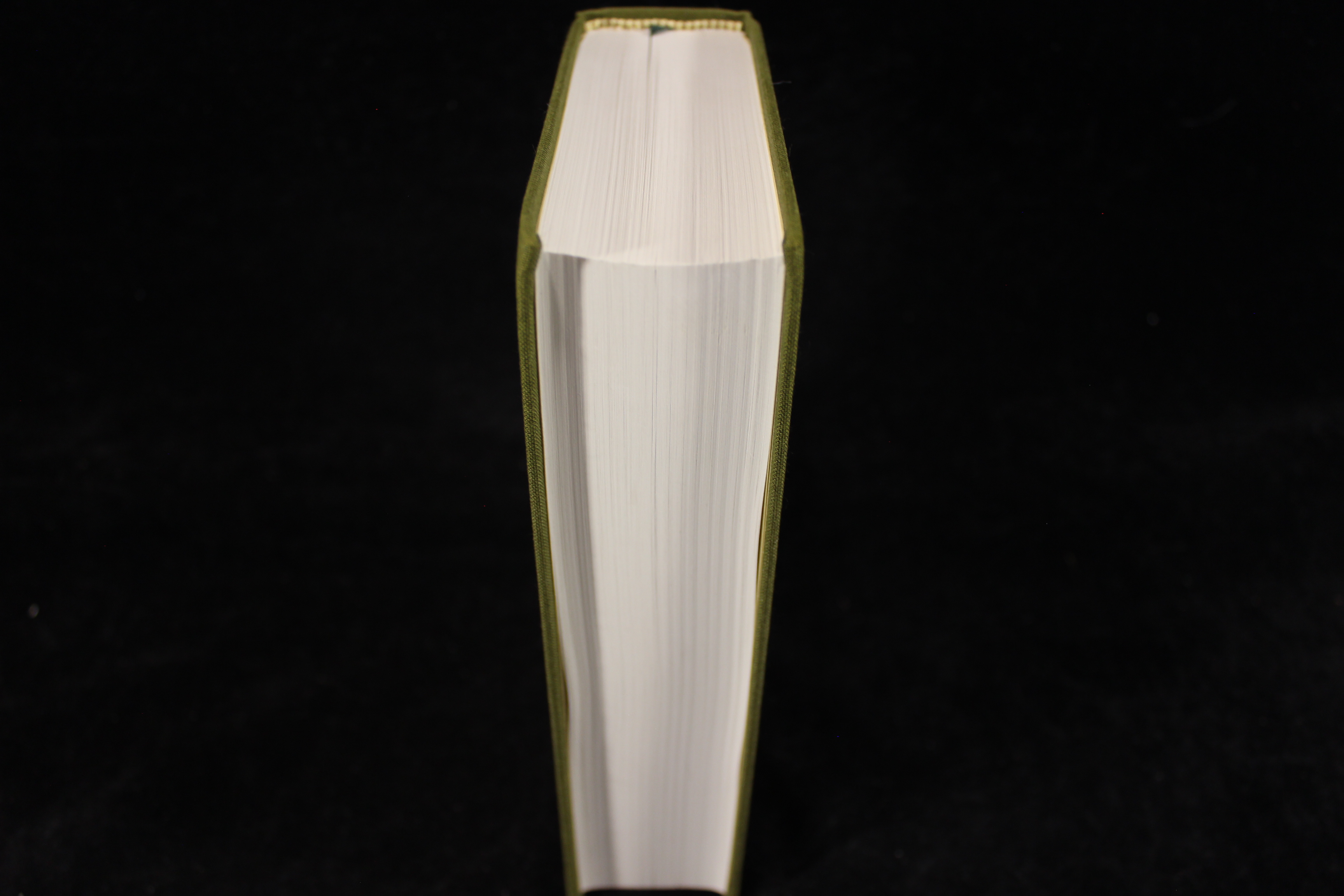 The Portrait of a Lady (Penguin Clothbound Classics) by James, Henry ...