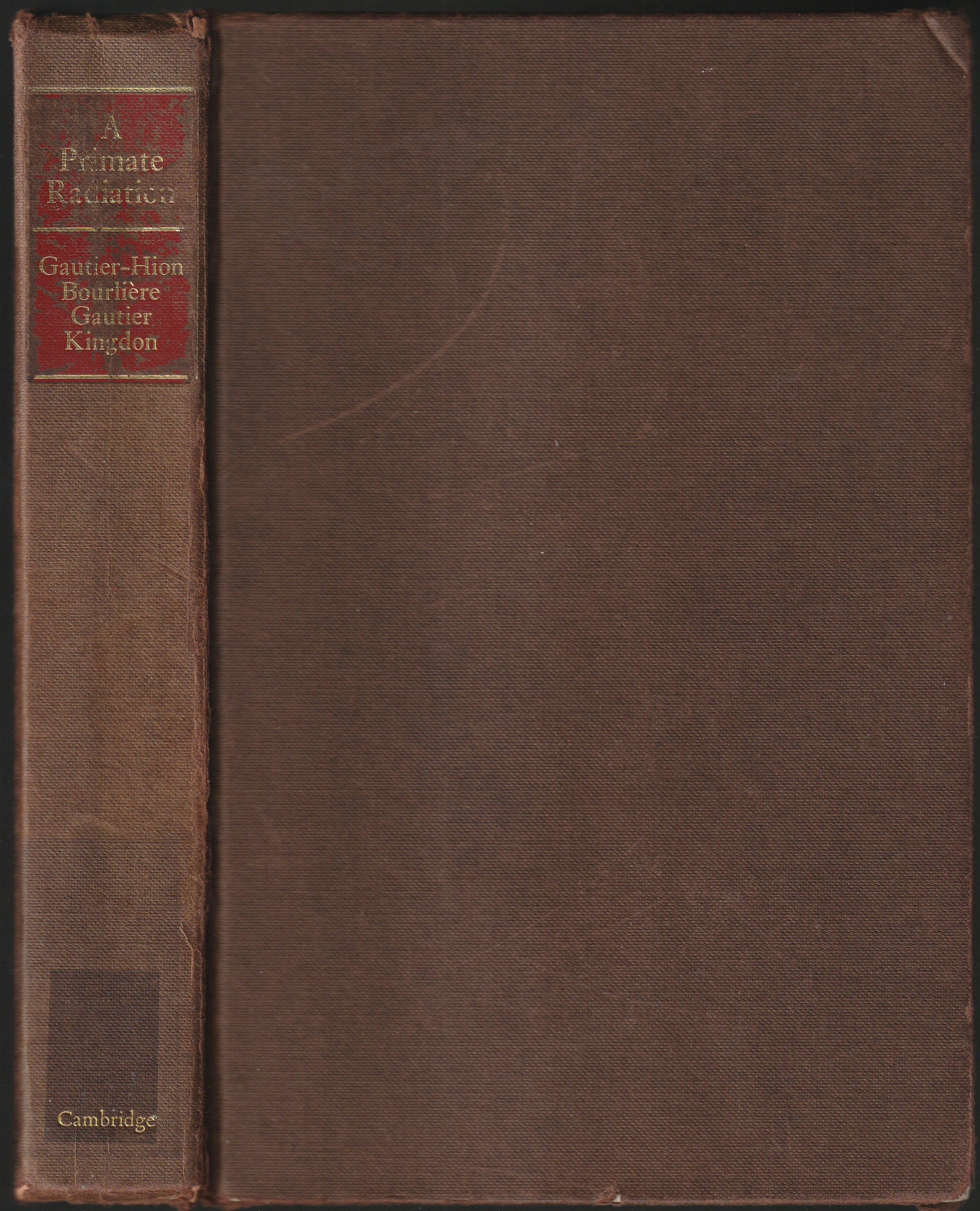 A Primate Radiation: Evolutionary Biology of the African Guenons by ...