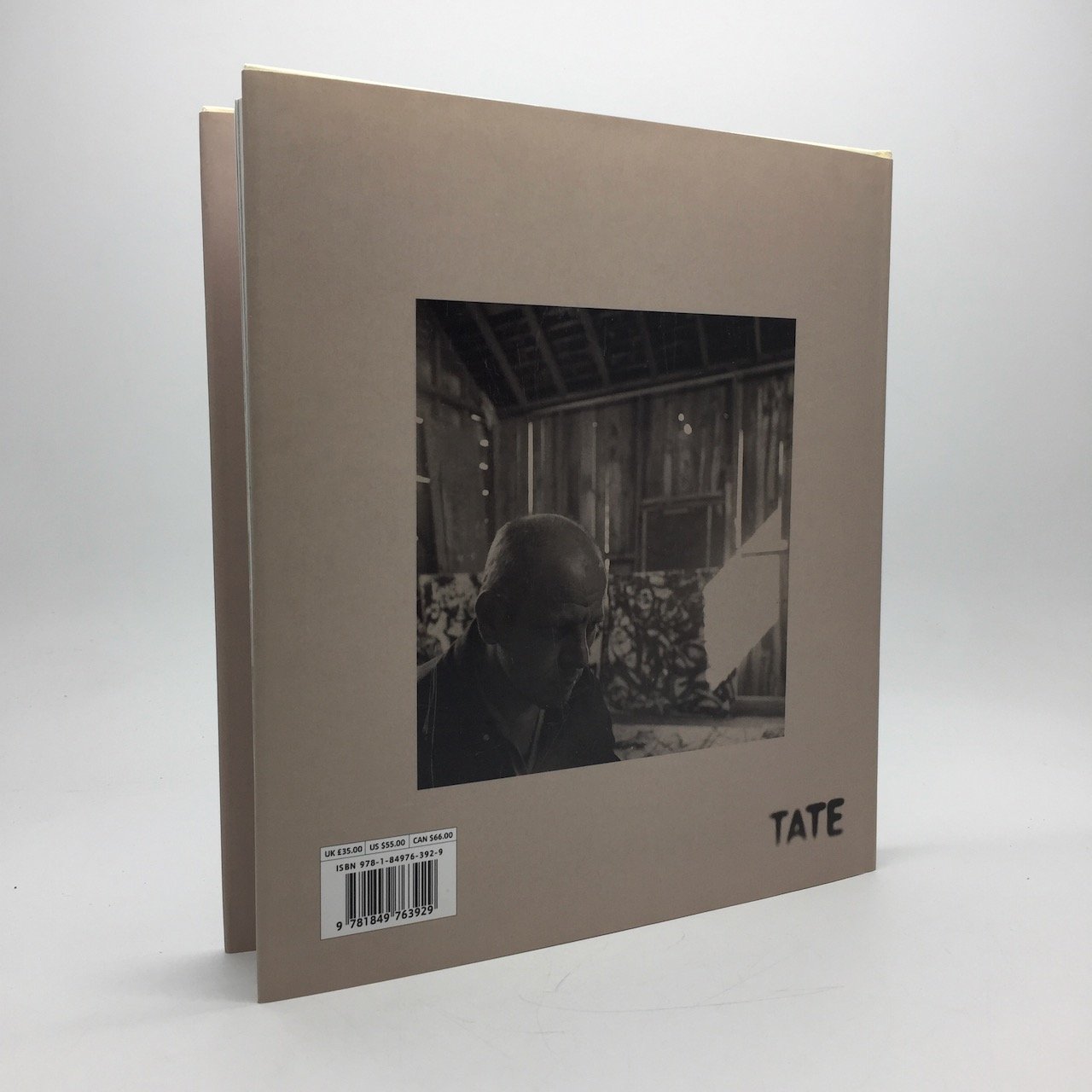 JACKSON POLLOCK: BLIND SPOTS by DELAHUNTY, Gavin, Stephanie Straine, Jo ...