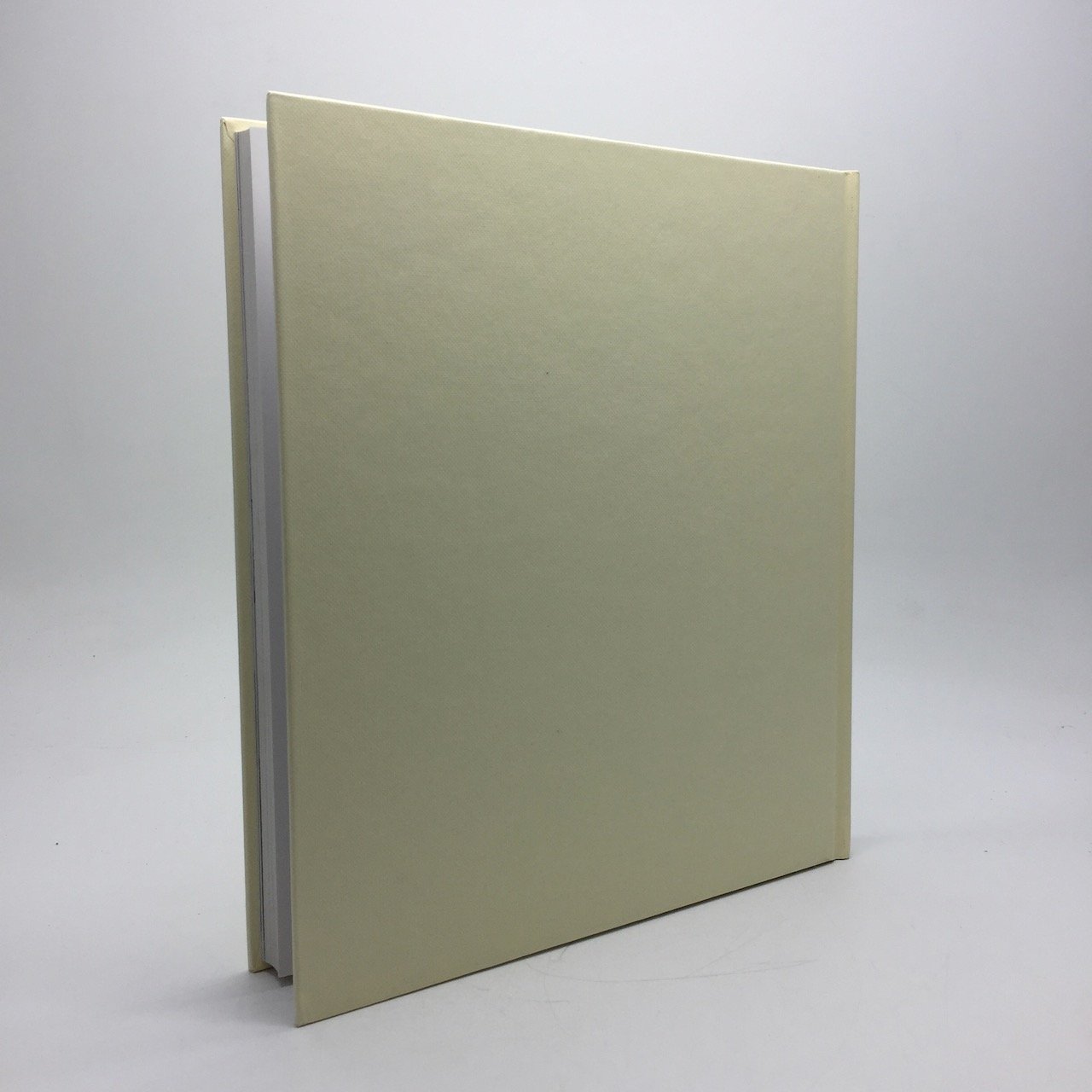 JACKSON POLLOCK: BLIND SPOTS by DELAHUNTY, Gavin, Stephanie Straine, Jo ...