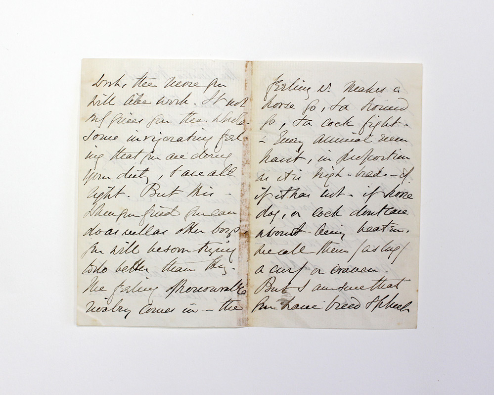 A Rare Original Hand Written Letter Signed by Charles Kingsley to His ...