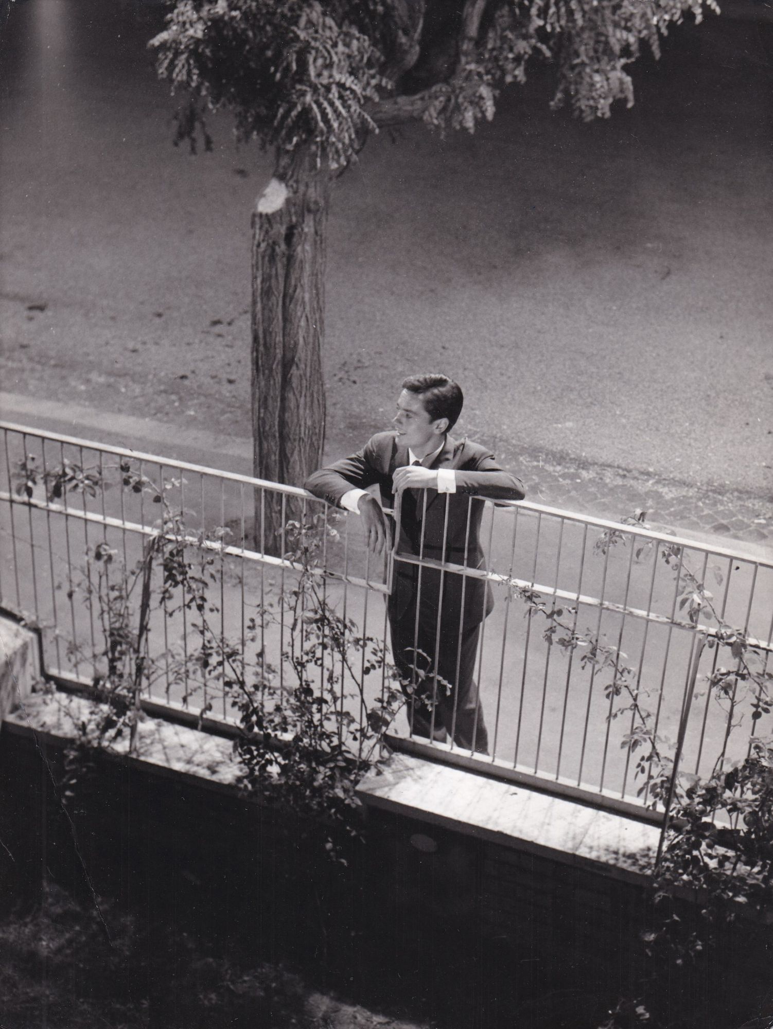 L'eclisse [The Eclipse] (Original photograph of Alain Delon from the ...