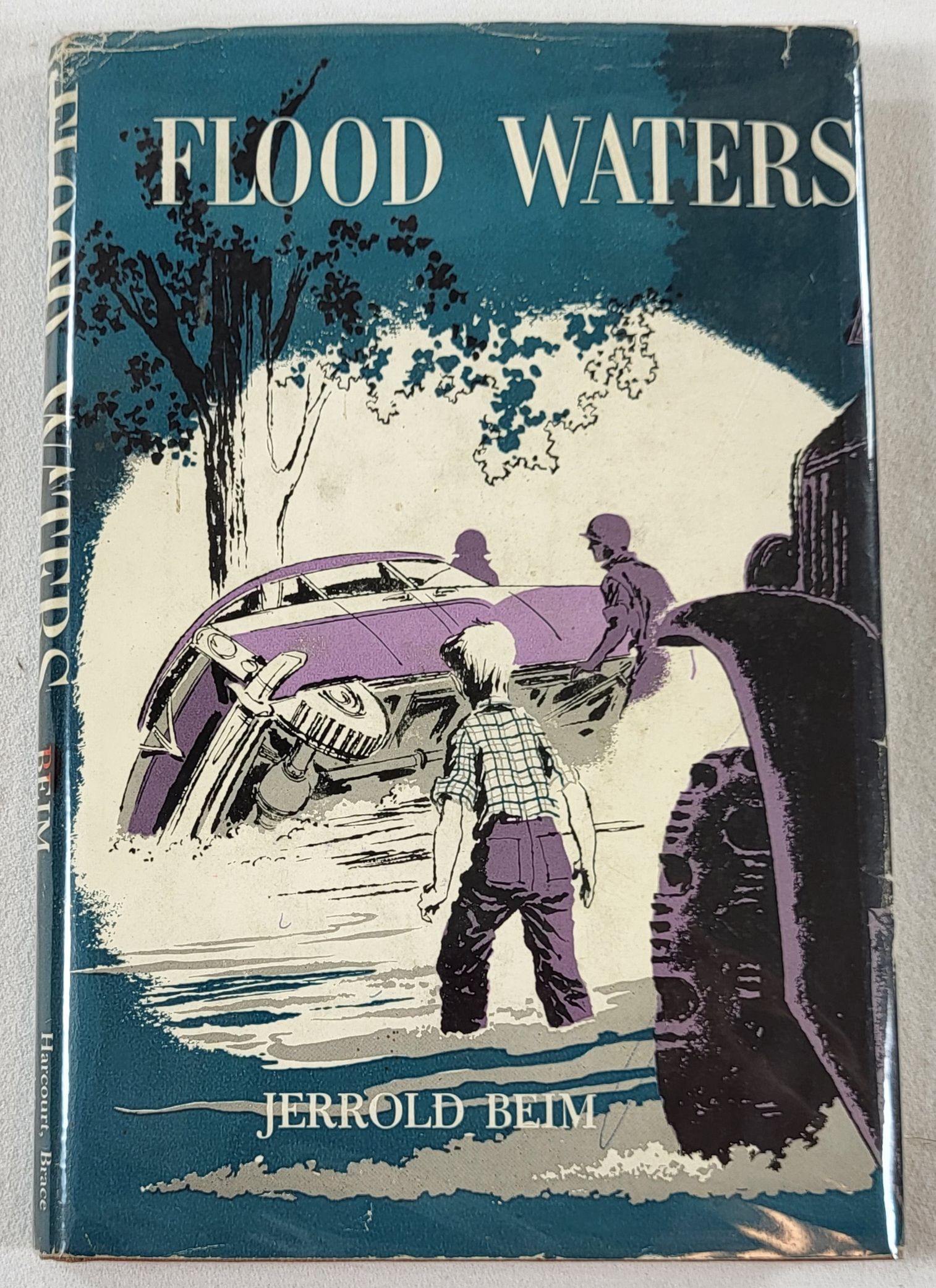 Flood Waters von Beim, Jerrold. Illustrated By Don Sibley: Very Good ...