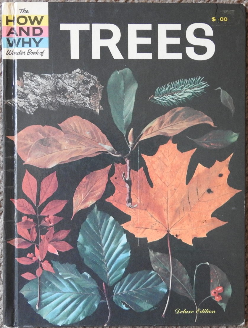 The How and Why Wonder Book of Trees by Coe, Geoffrey: Very Good+ ...