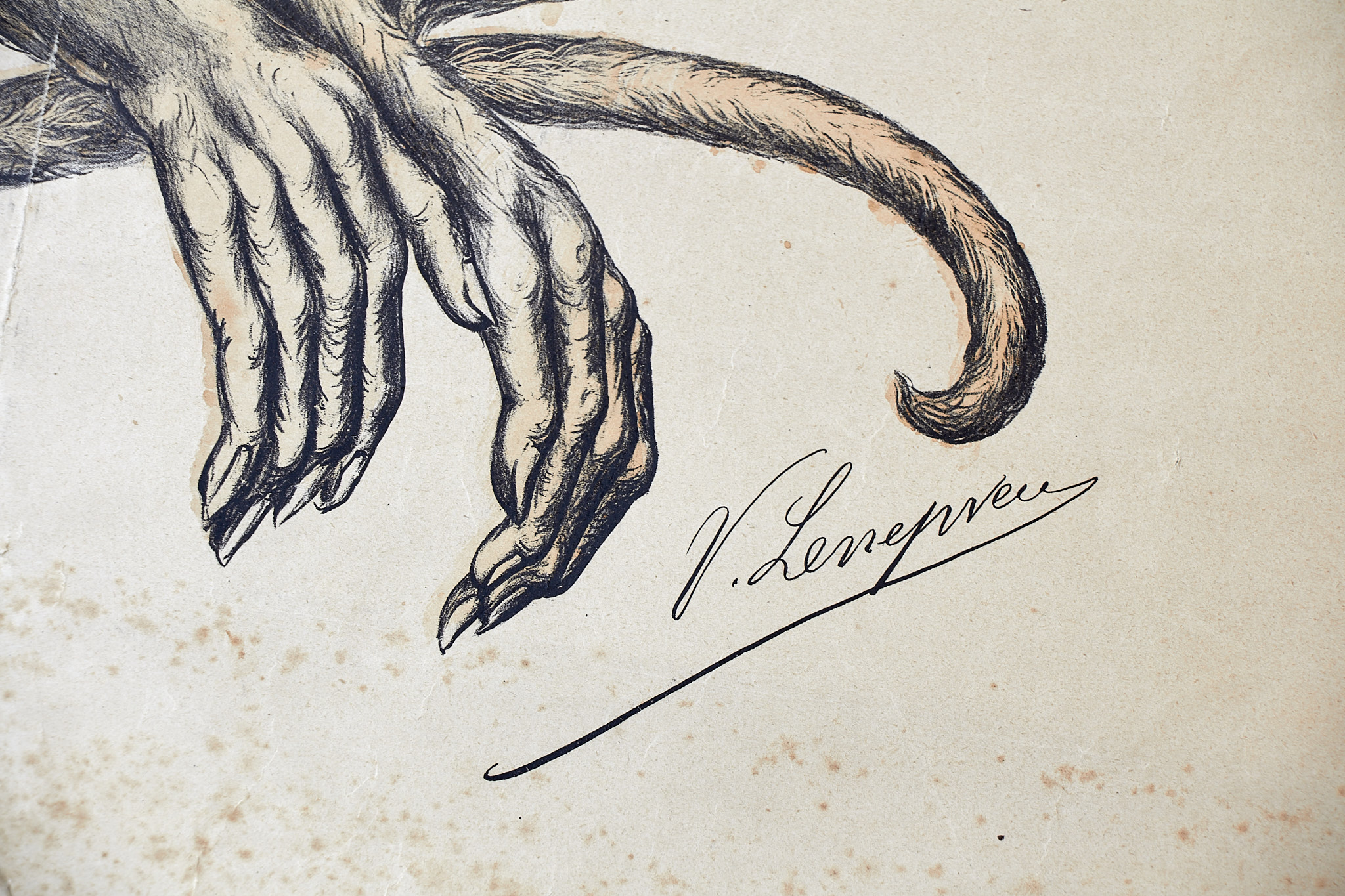 [AFFAIRE DREYFUS] Musée des horreurs - Affiche originale lithographiée ...