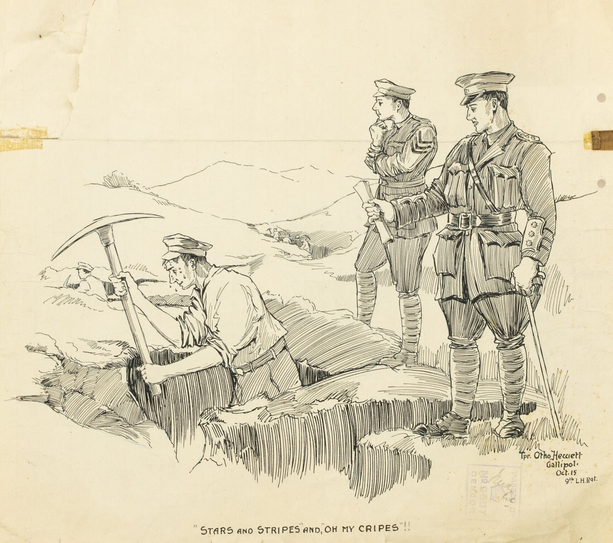 A small archive of artwork, including original field sketches from ...