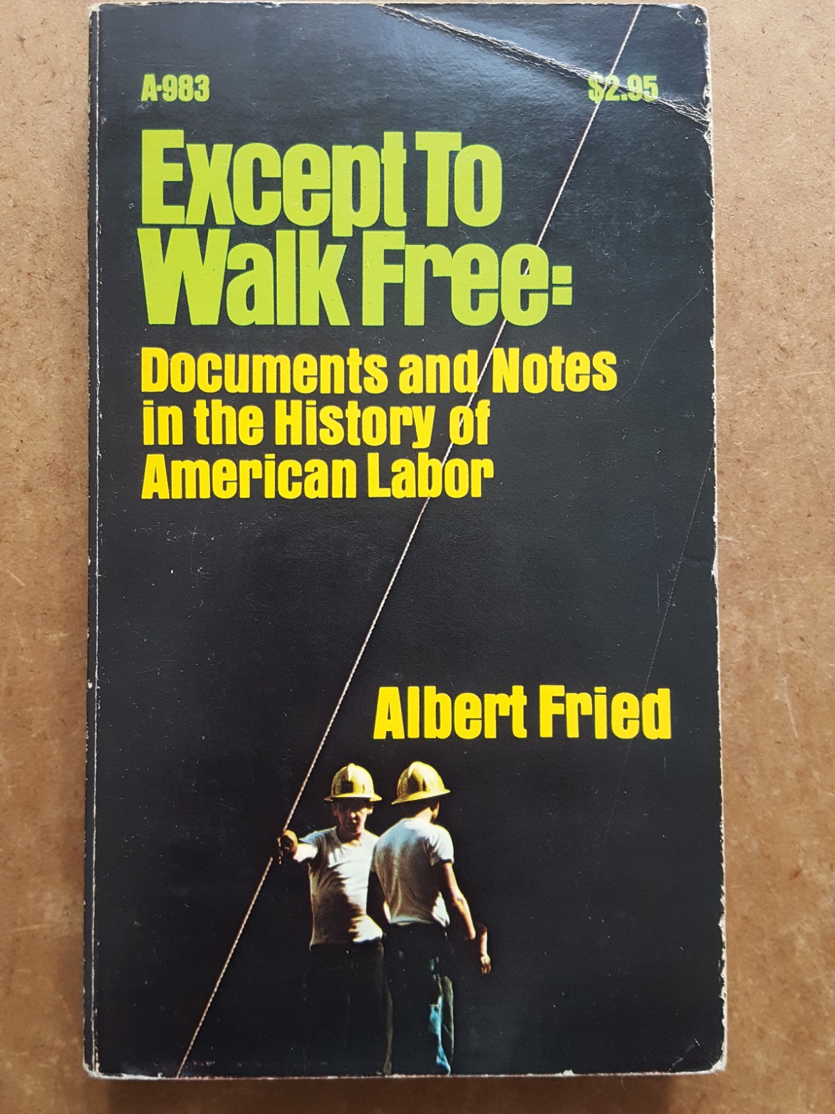 Title: Except to Walk Free Documents and Notes in the His von Fried ...