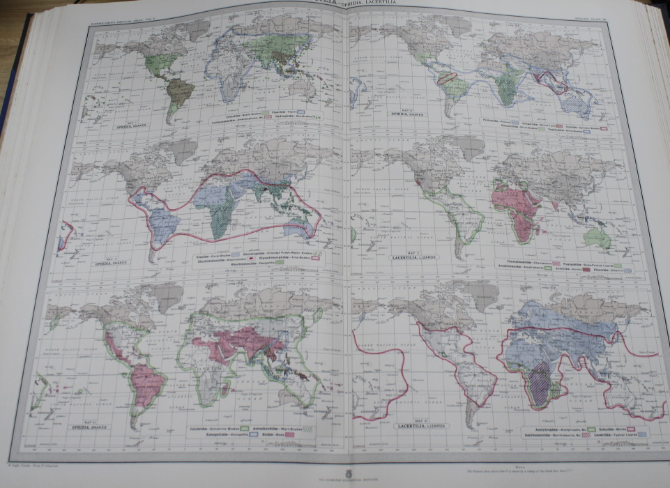 Atlas of Zoogeography: A Series of Maps illustrating the Distribution ...