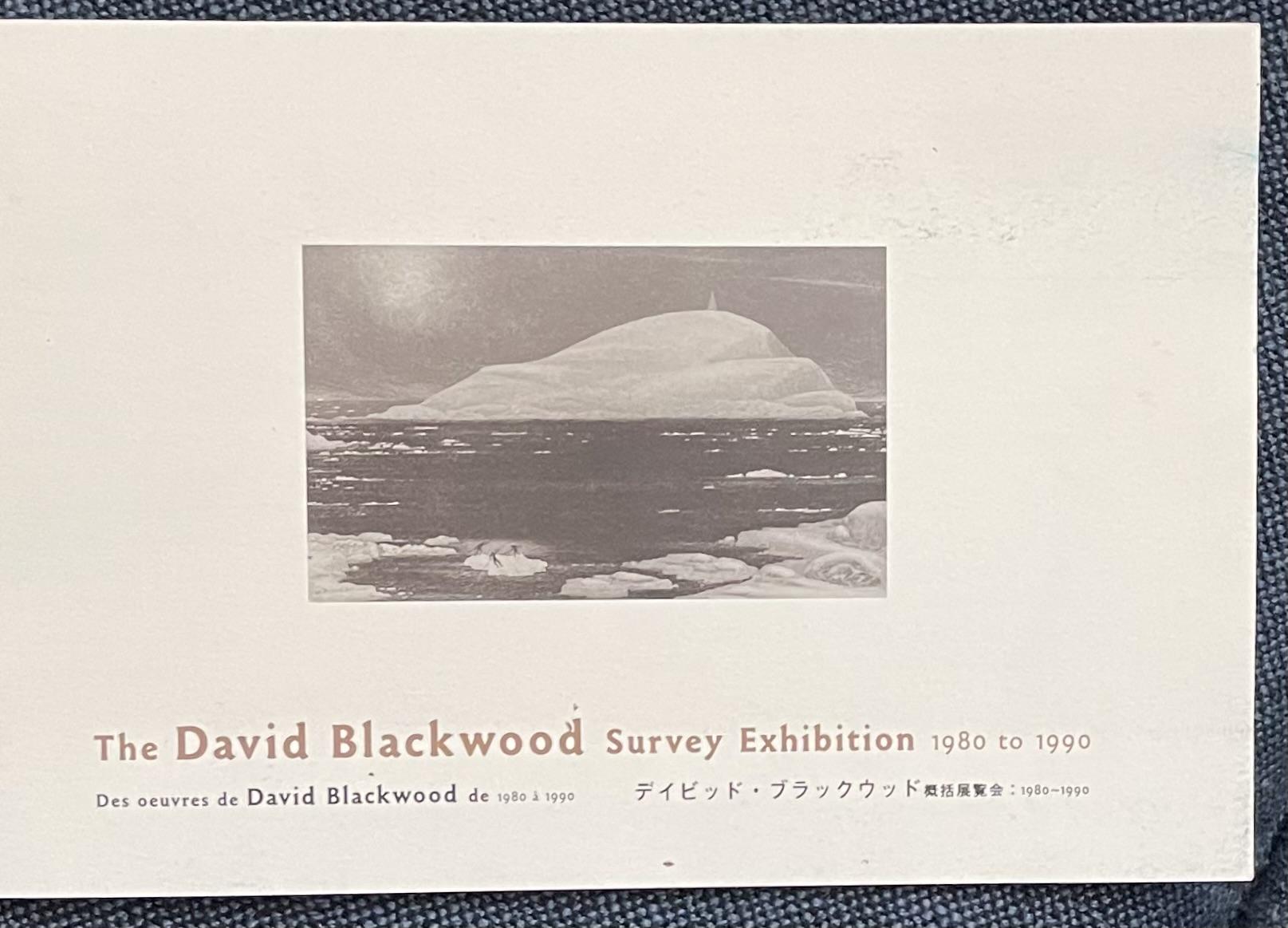 The David Blackwood Survey Exhbition 1980 to 1990 (Des Oeuvres de David Blackwood by Catherine ...