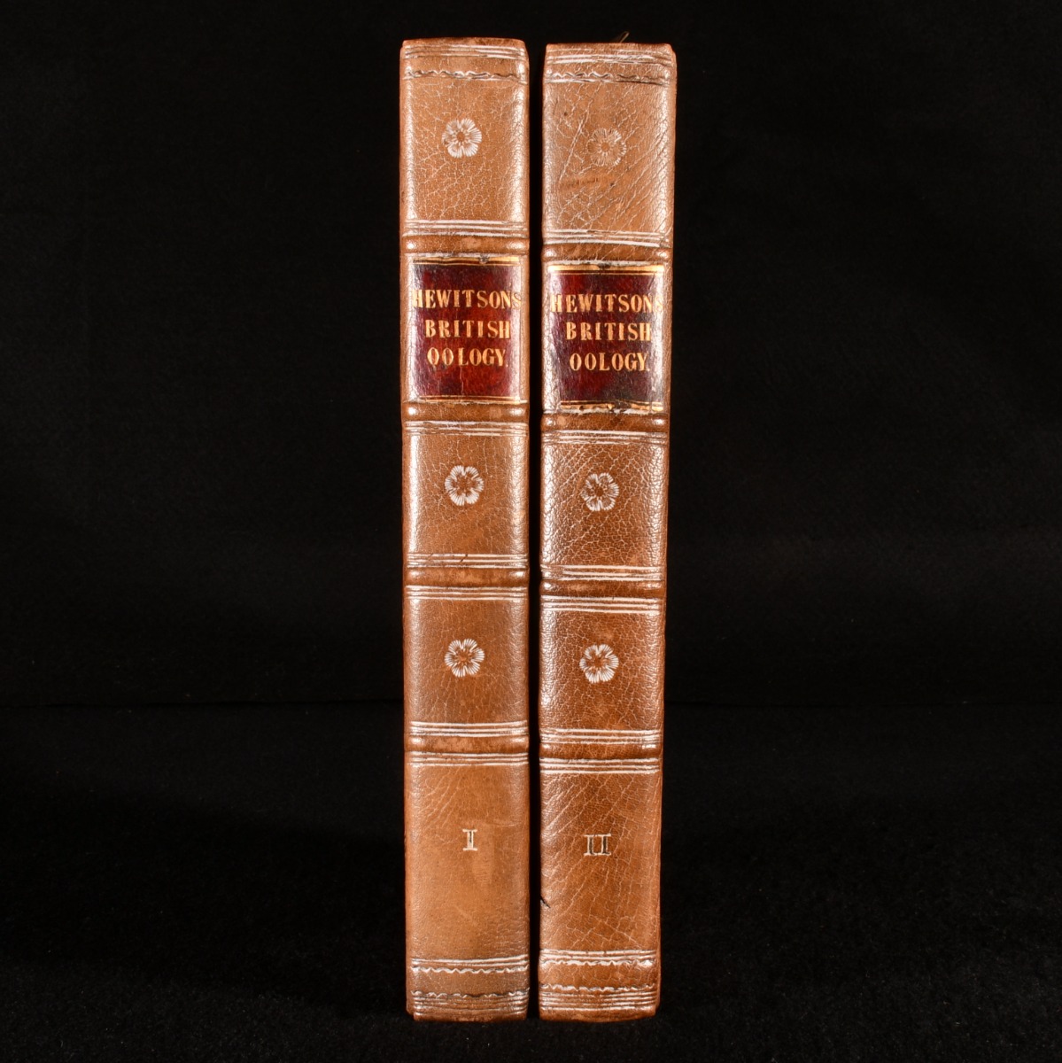 British Oology; Being Illustrations of The Eggs of British Birds by ...