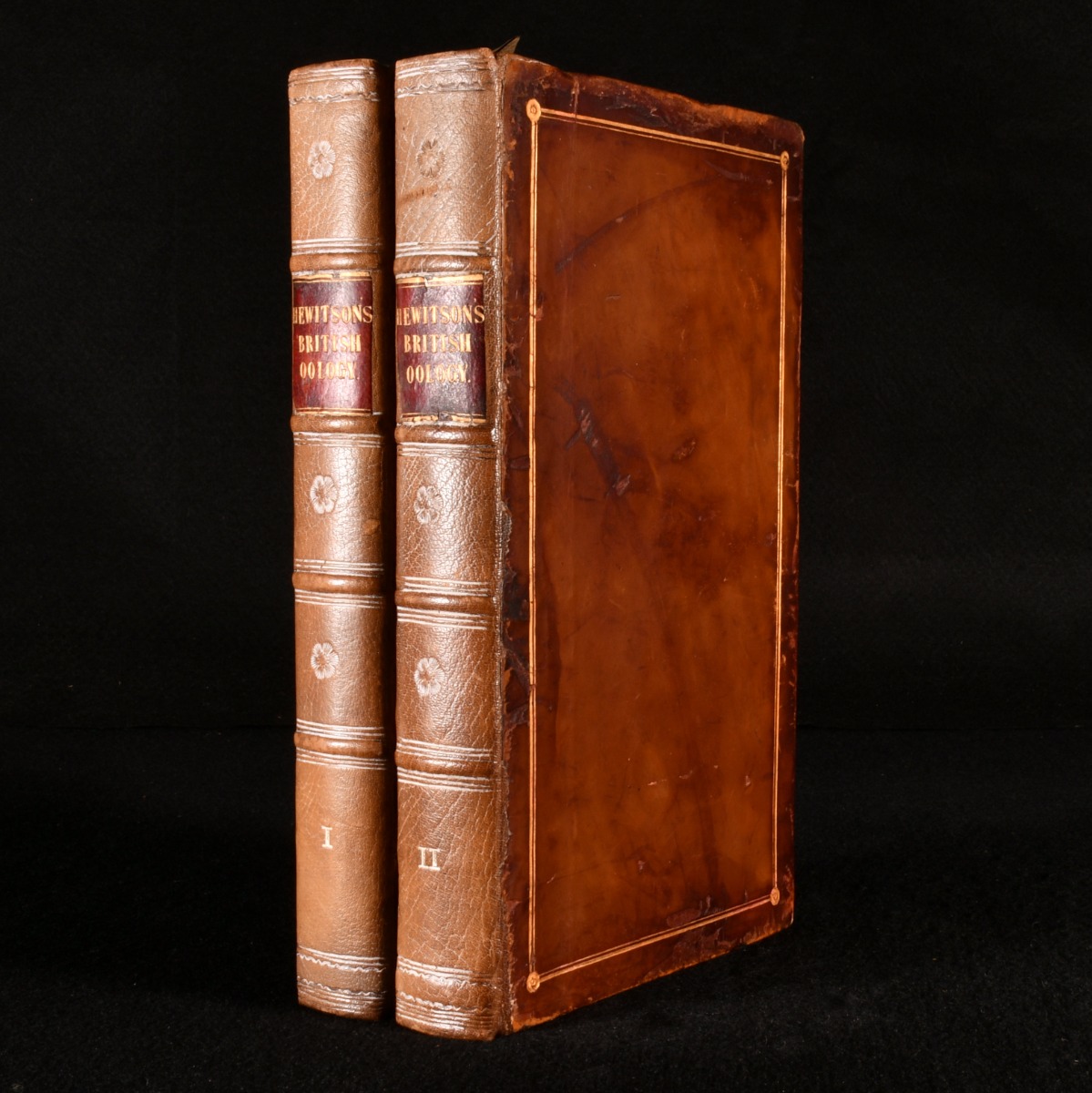 British Oology; Being Illustrations of The Eggs of British Birds by ...