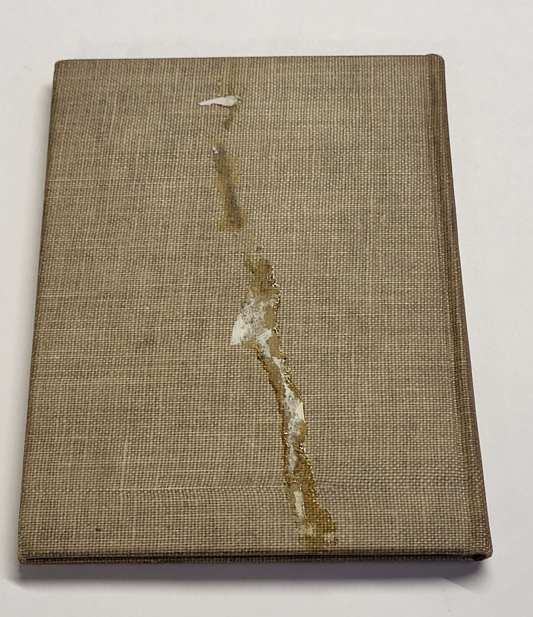 Wag-By-Wall by Potter, Beatrix: Good Hardcover. 16mo (1944) First ...