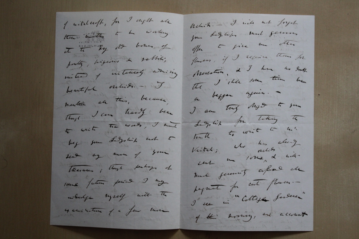 Handwritten And Signed Association Letter To Lady Dorothy Fanny Nevill By The Author Of On The