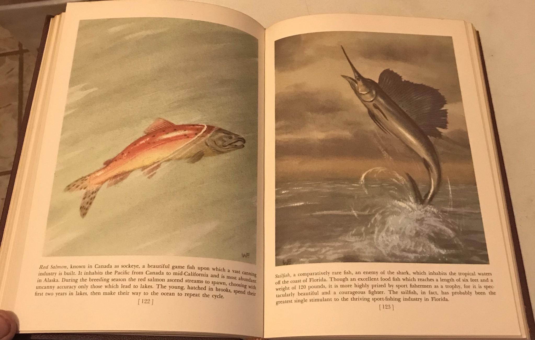 World Scope Family Library Nature Book of America by E.L. Jordan PhD ...