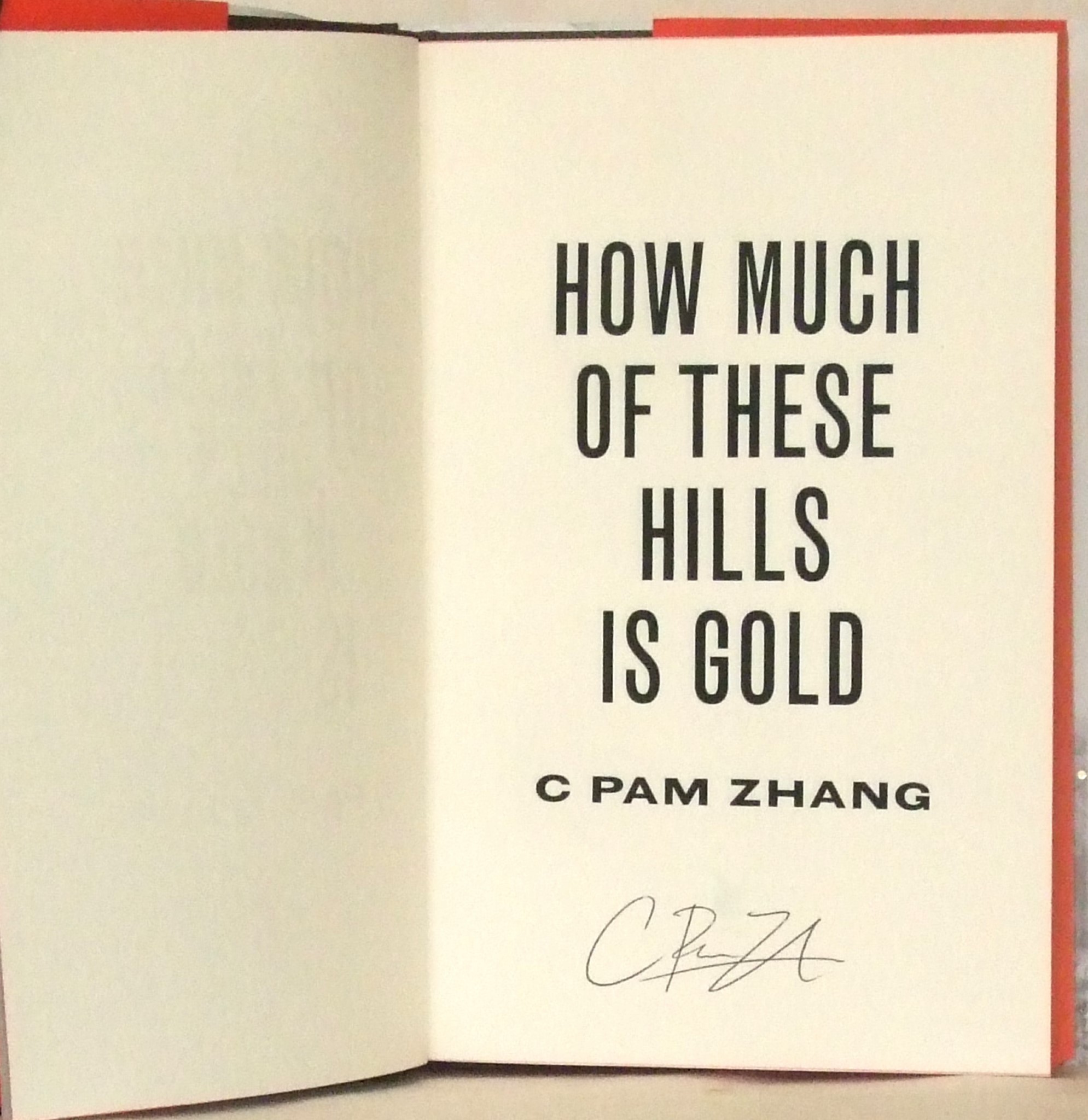 How Much of These Hills is Gold par C Pam Zhang: Fine Hardcover (2020 ...