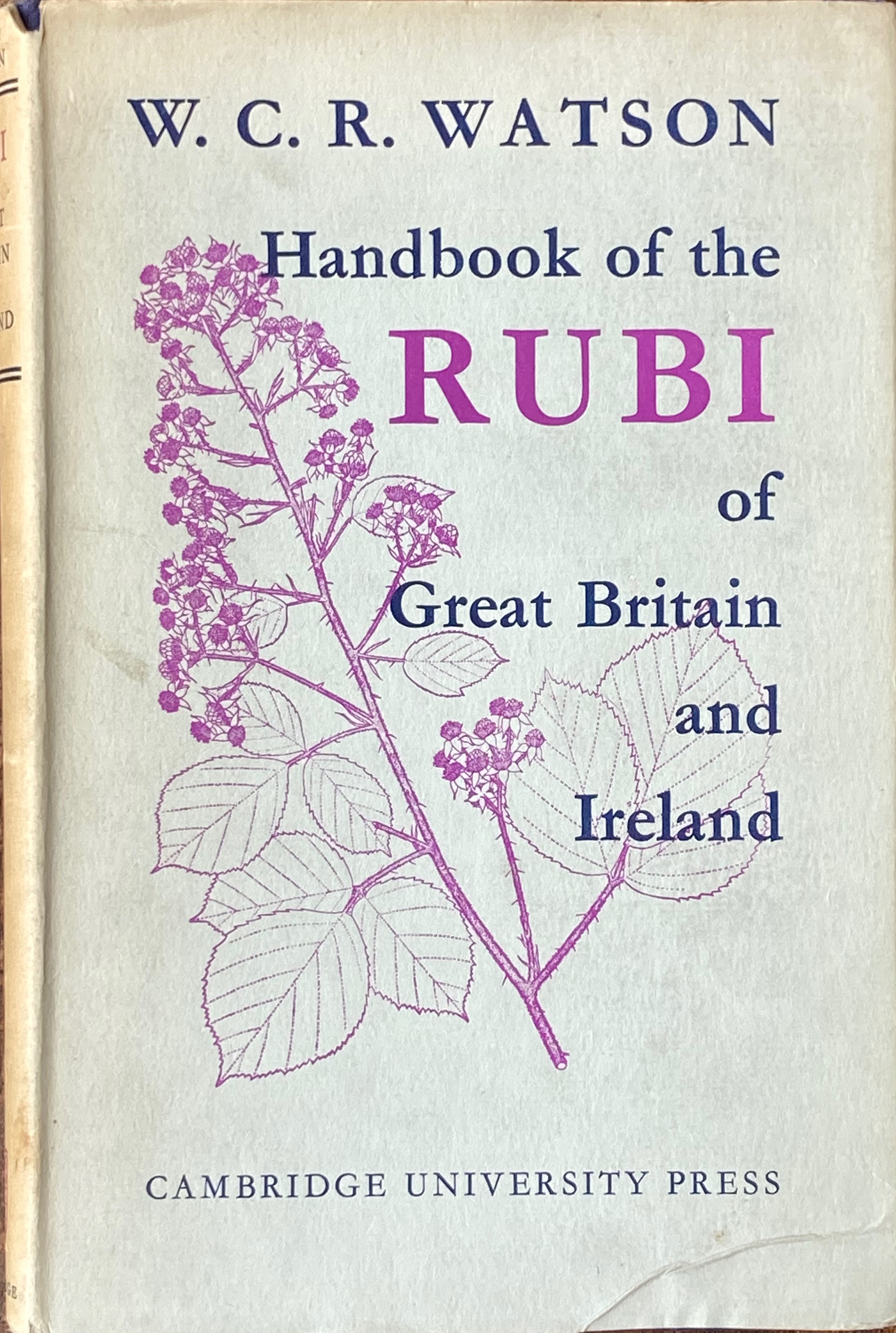 Hanbdook of the Rubi of Great Britain and Ireland by Watson, W.C.R.: V ...