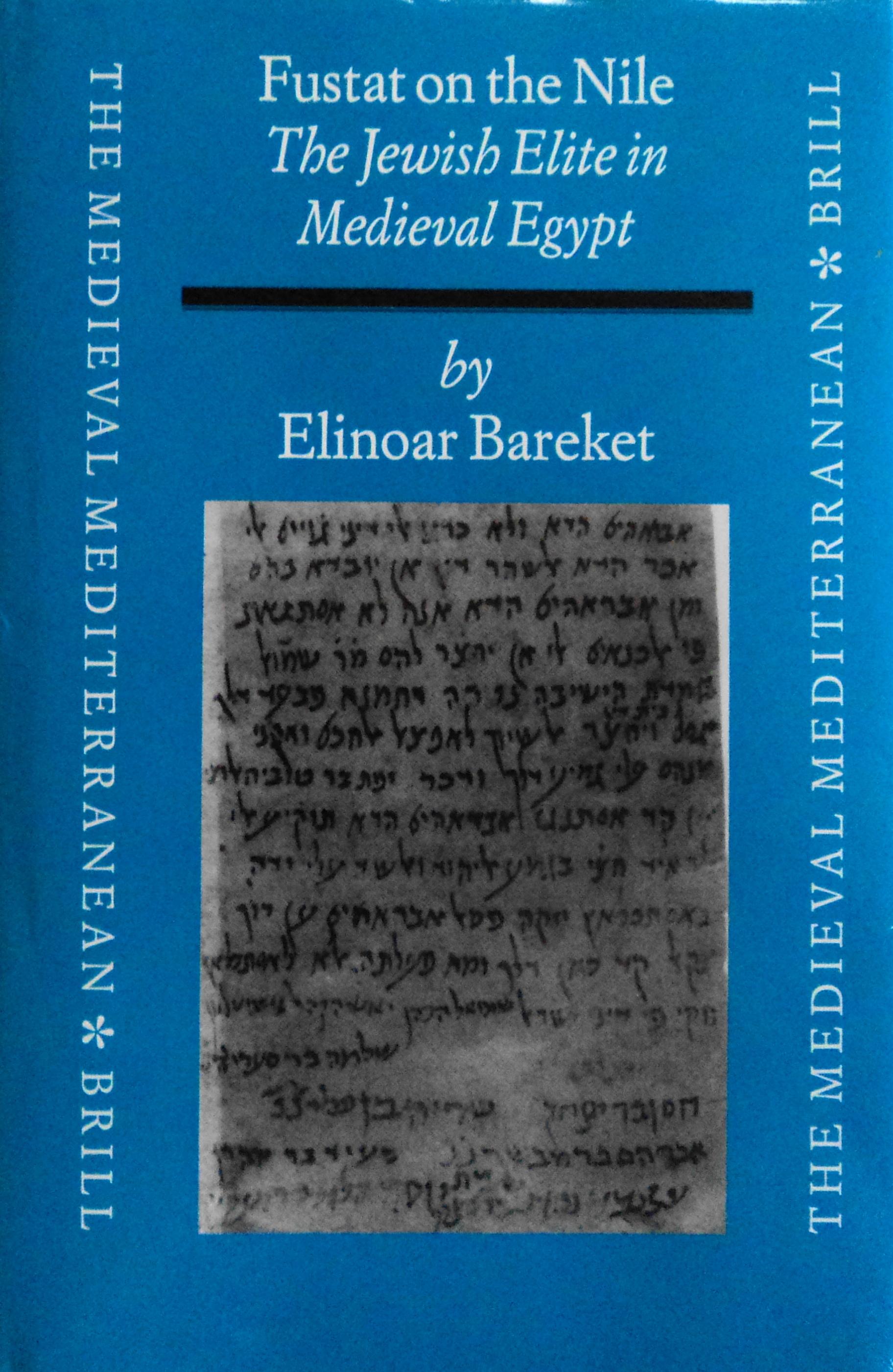Fustat on the Nile: The Jewish Elite in Medieval Egypt (Medieval ...