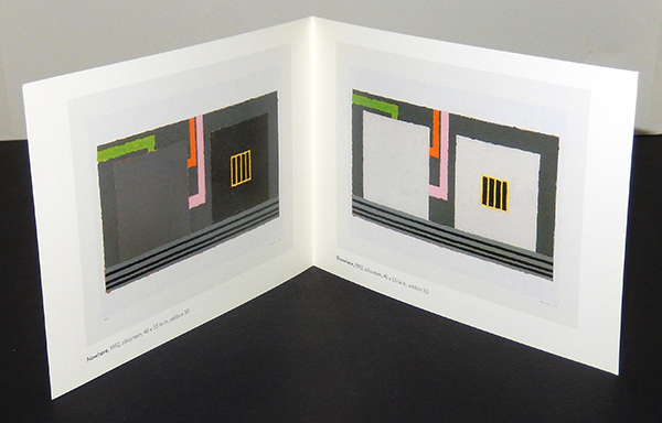 Peter Halley: New Project, 1993 Exhibition Announcement Card by Halley ...