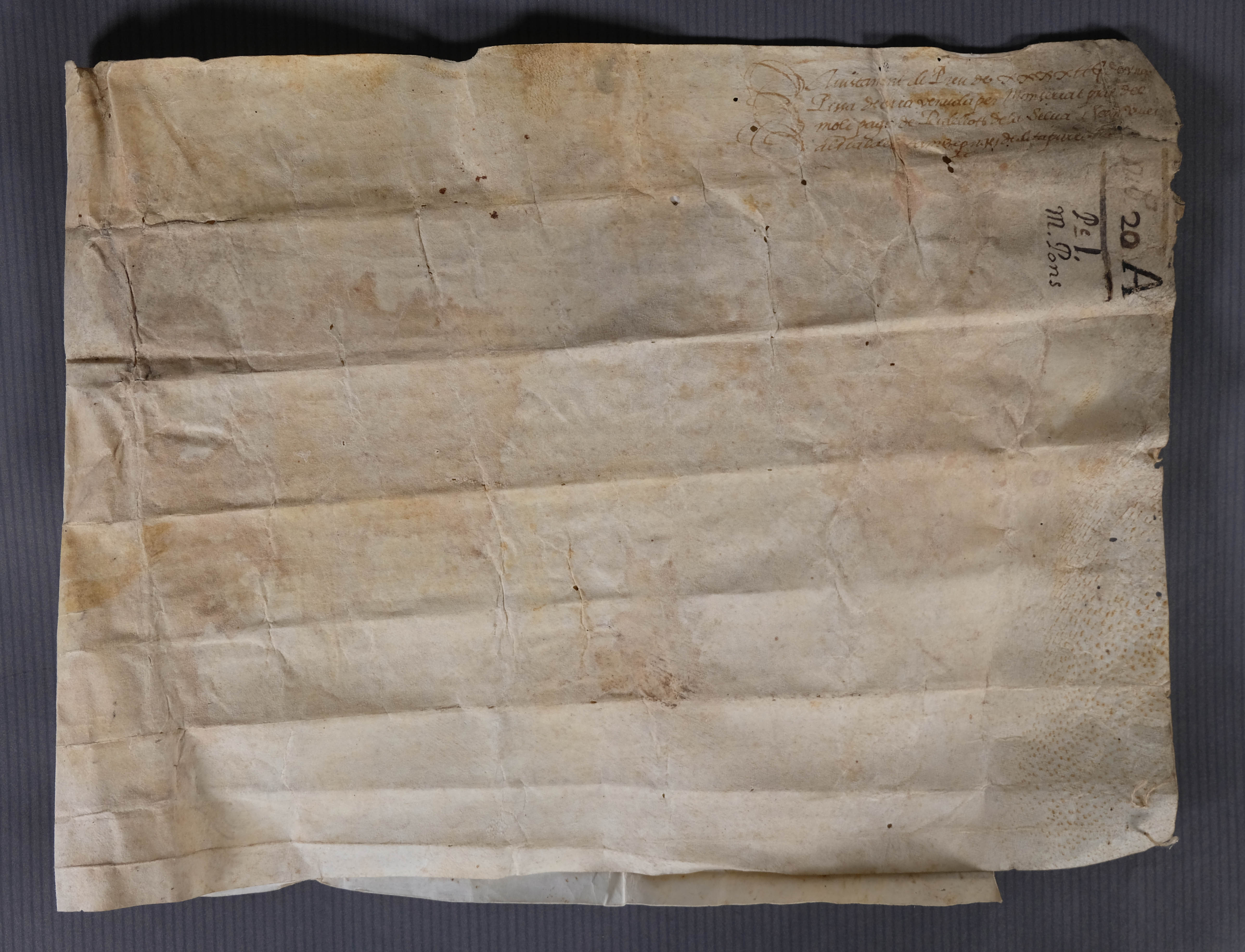 Antiguo documento manuscrito en latín sobre vitela hacia 1500 ...