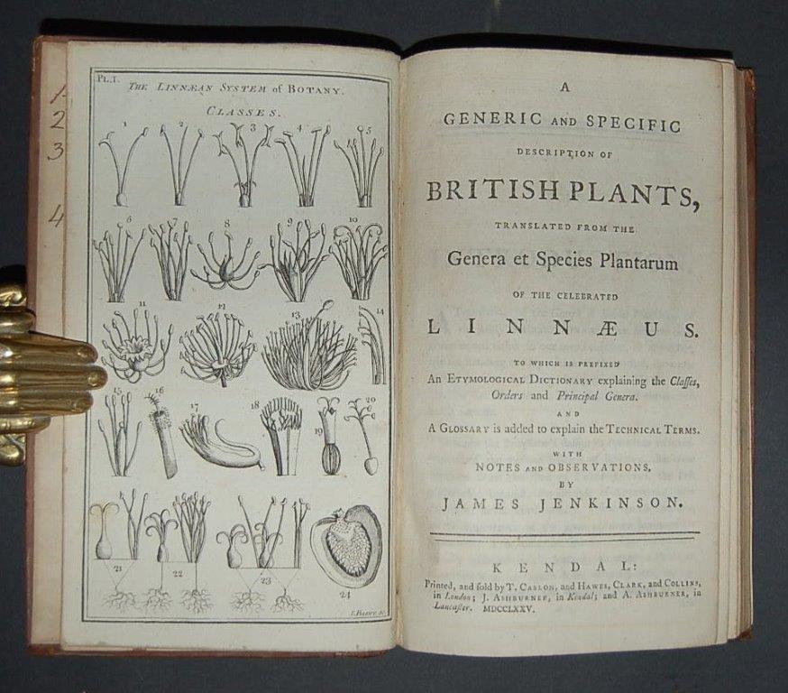 A Generic and Specific Description of British Plants, translated from ... A Generic and Specific Description of British Plants, translated from ...