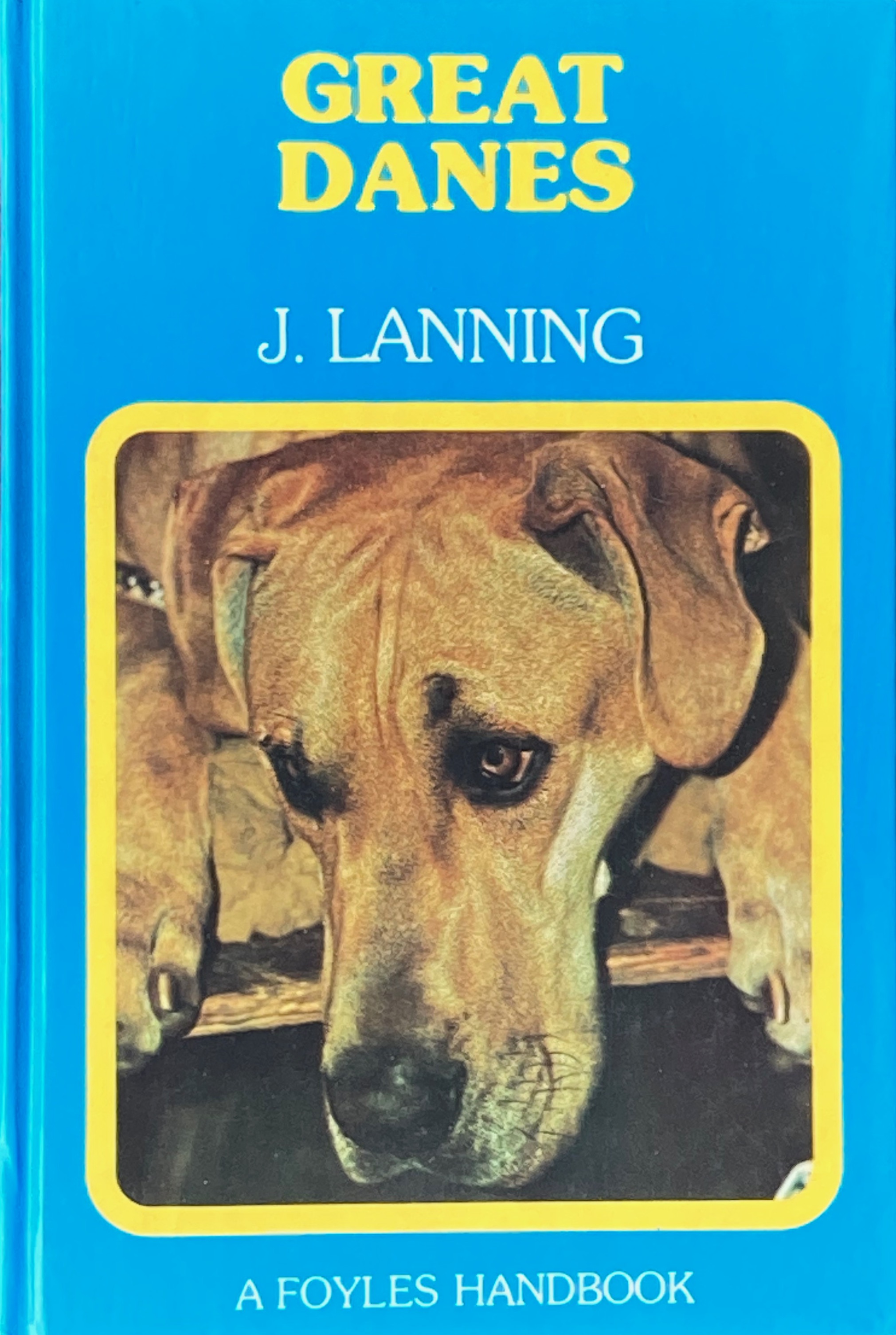 Great Danes by Lanning, J: Fine Pictorial hard covers (1975) Revised ...