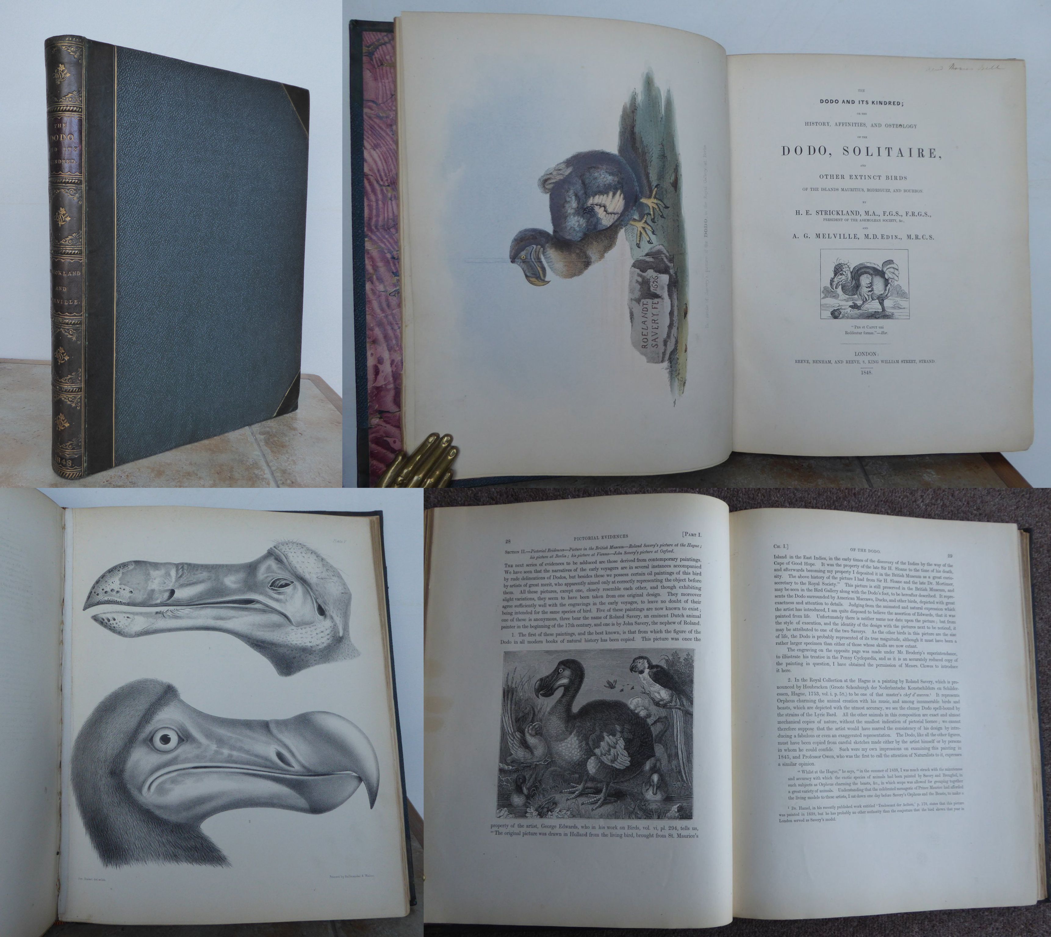 THE DODO AND ITS KINDRED, or the History, Affinities, and Osteology of ...
