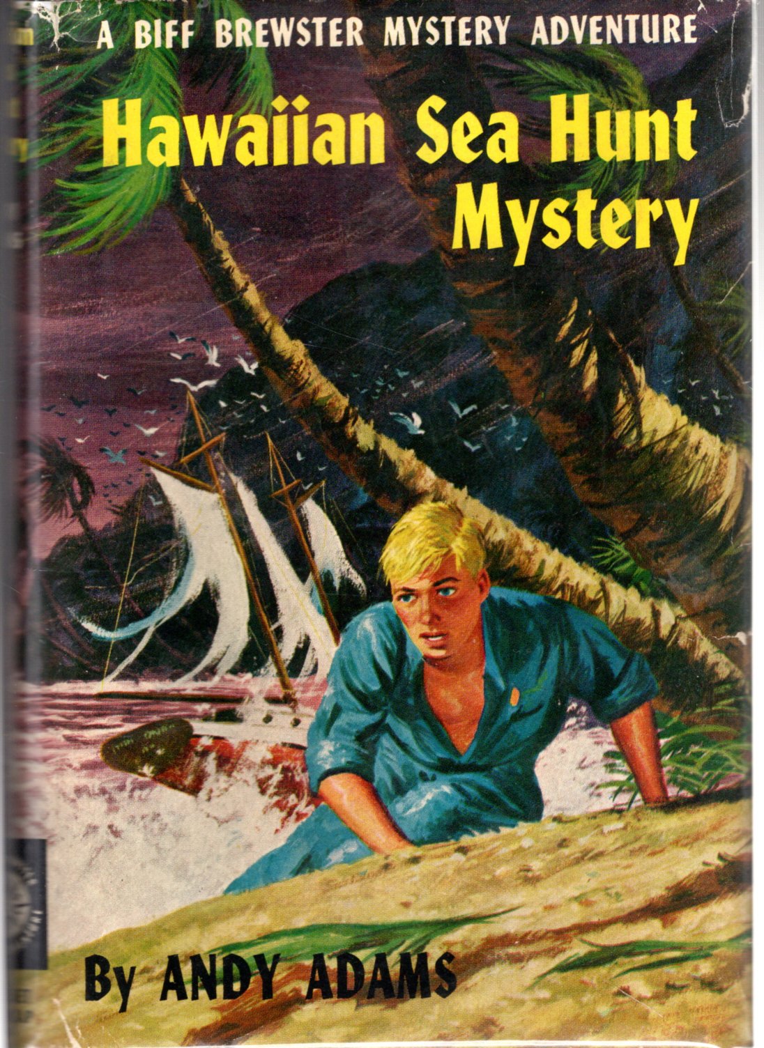 Hawaiian Sea Hunt Mystery (#3. Biff Brewster Mystery Adventure Series ...
