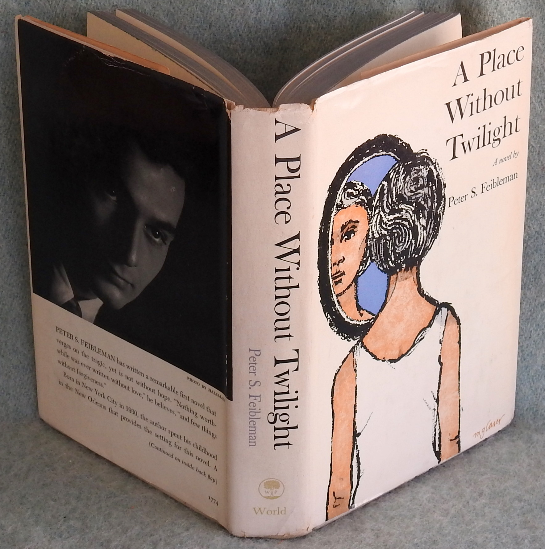 A Place without Twilight by Peter S. Feibleman: Fine Hardcover (1958 ...