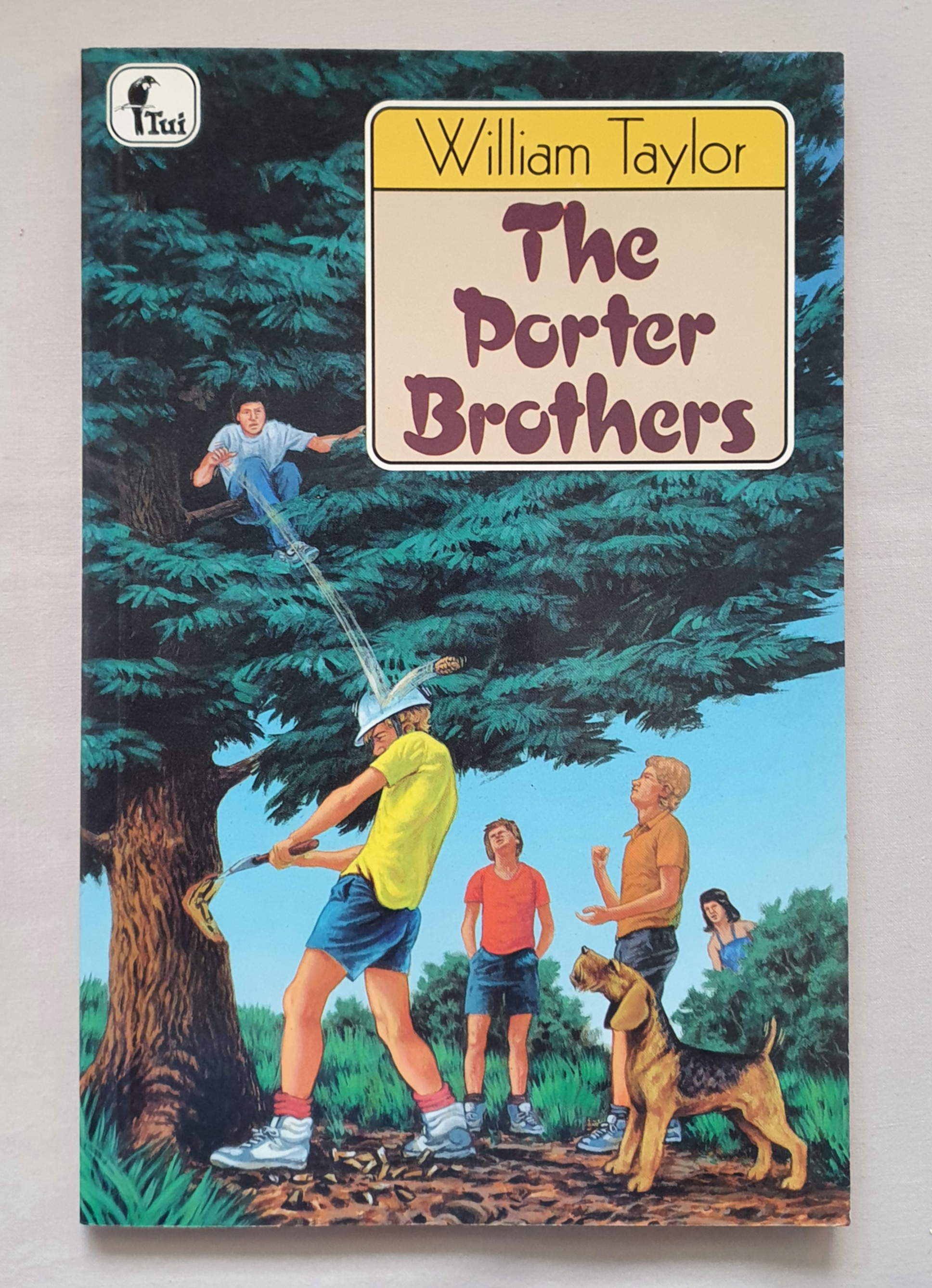 The Porter Brothers by TAYLOR, William: Very Good Soft cover (1990 ...