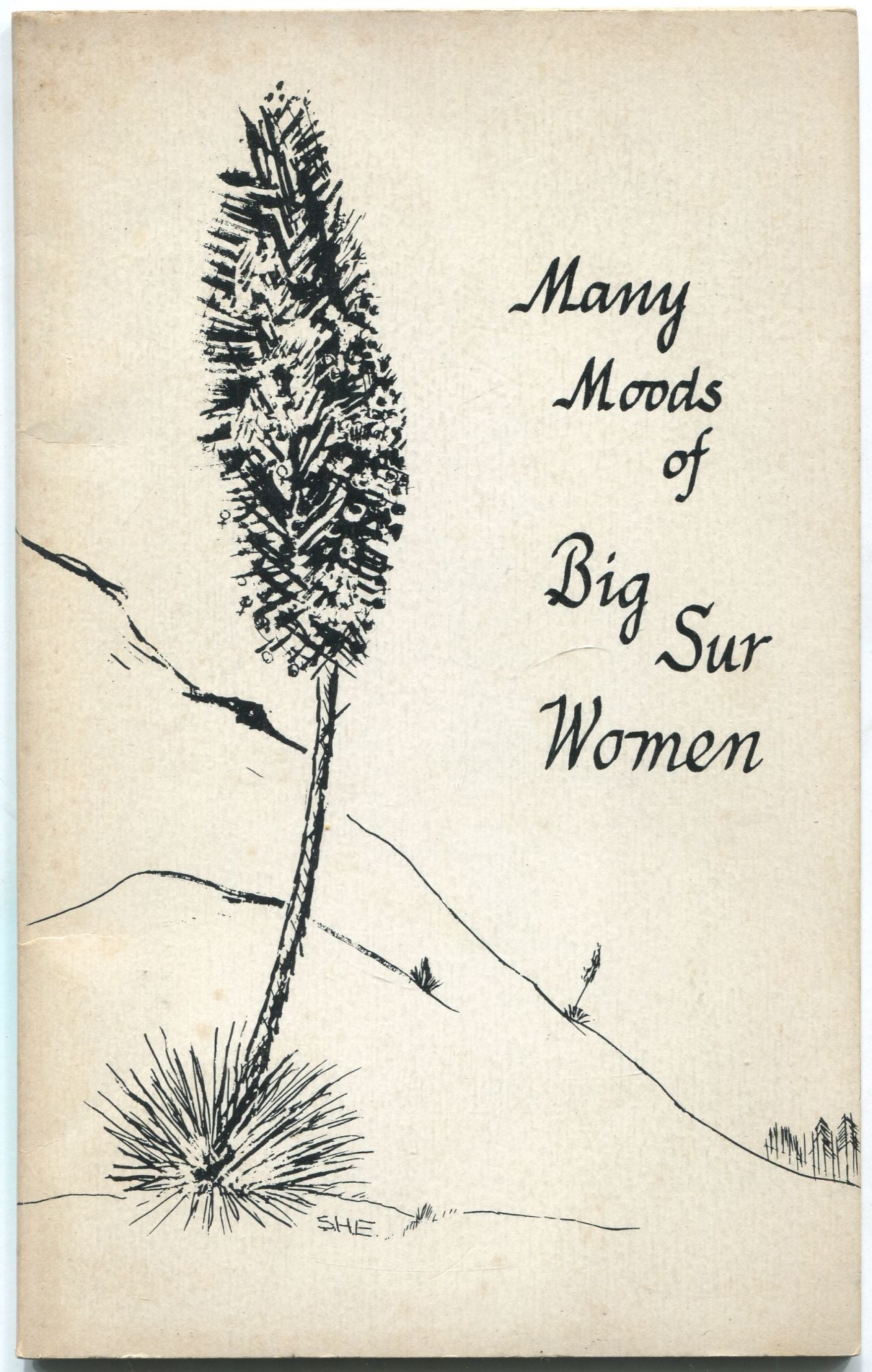 Many Moods of Big Sur Women by ADAMSON, Barbara, Judith Goodman, Linda ...