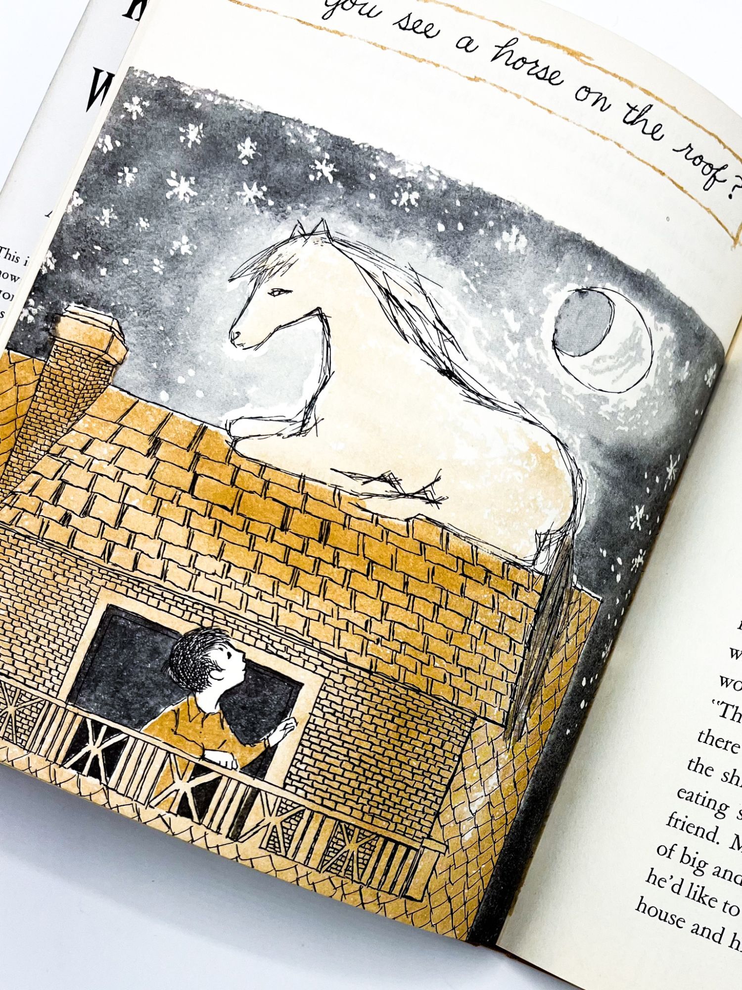 KENNY'S WINDOW by Sendak, Maurice: (1956) First edition. | Type Punch ...