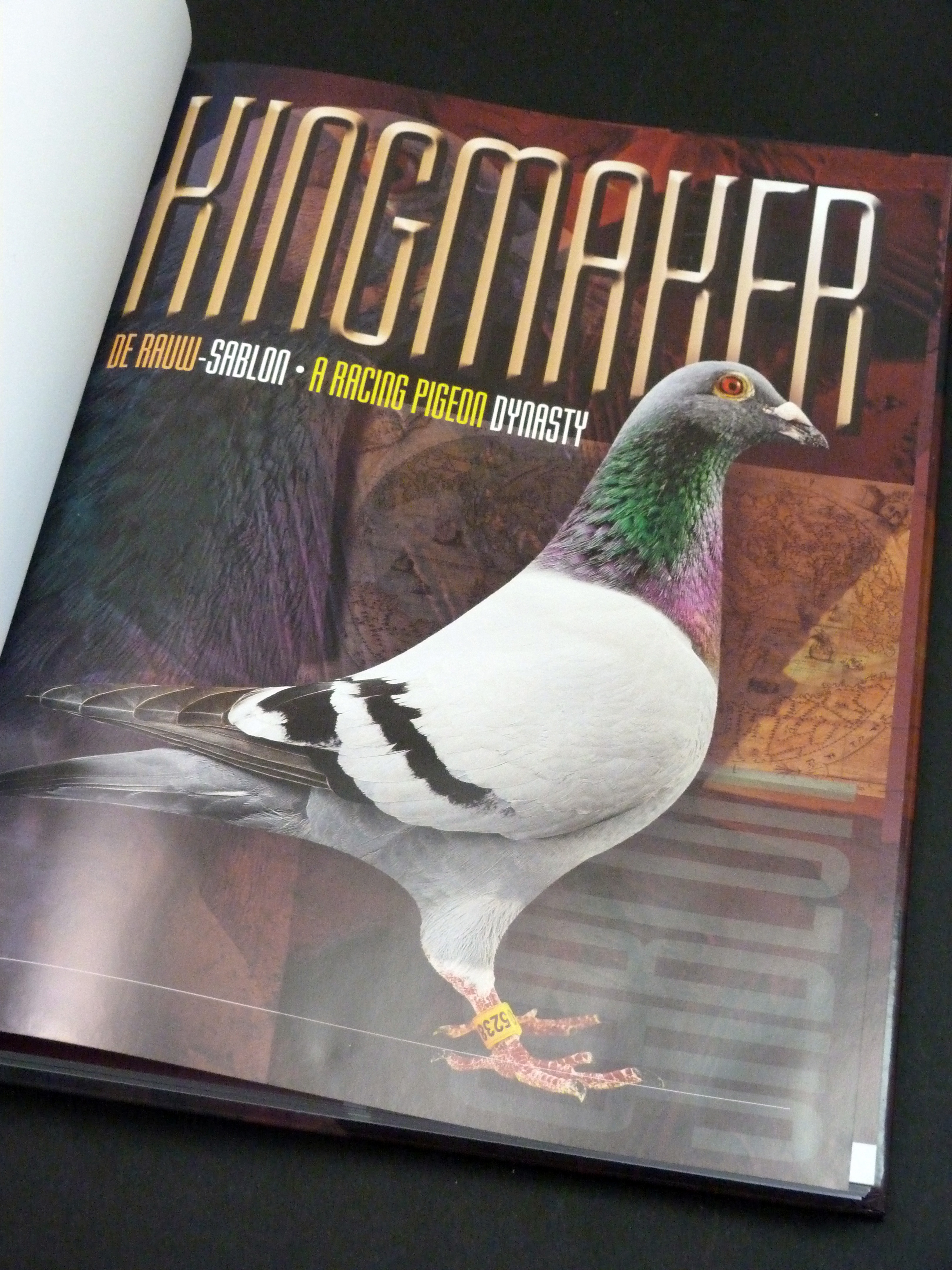 Kingmaker, De Rauw-Sablon, a Racing Pigeon Dynasty von Silvio ...