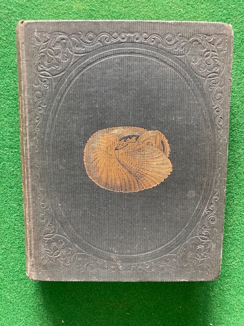 Shells and Their Inmates: Very Good Hardcover (1841) 1st Edition ...