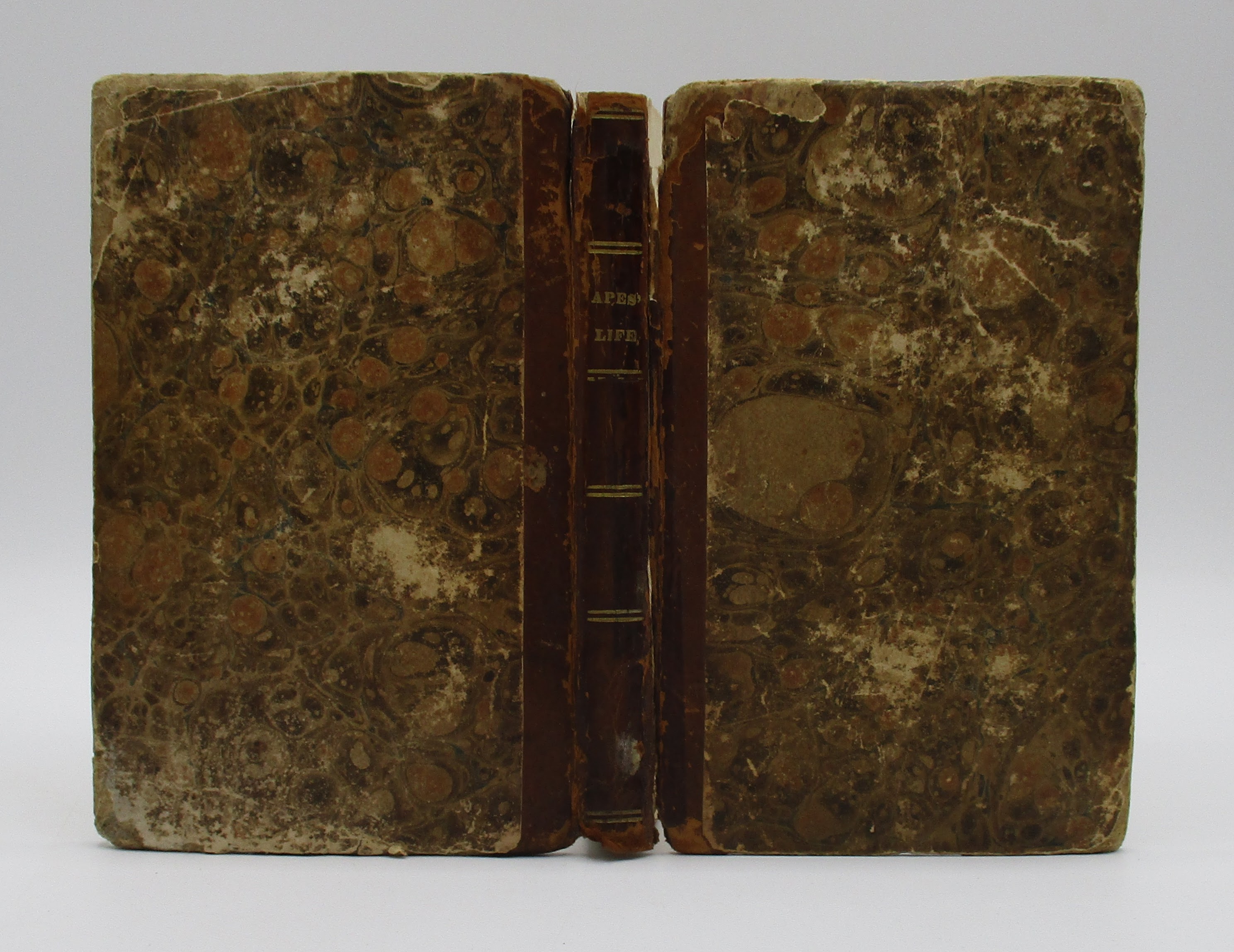 A Son of the Forest. The Experience of William Apes, a Native of the ...