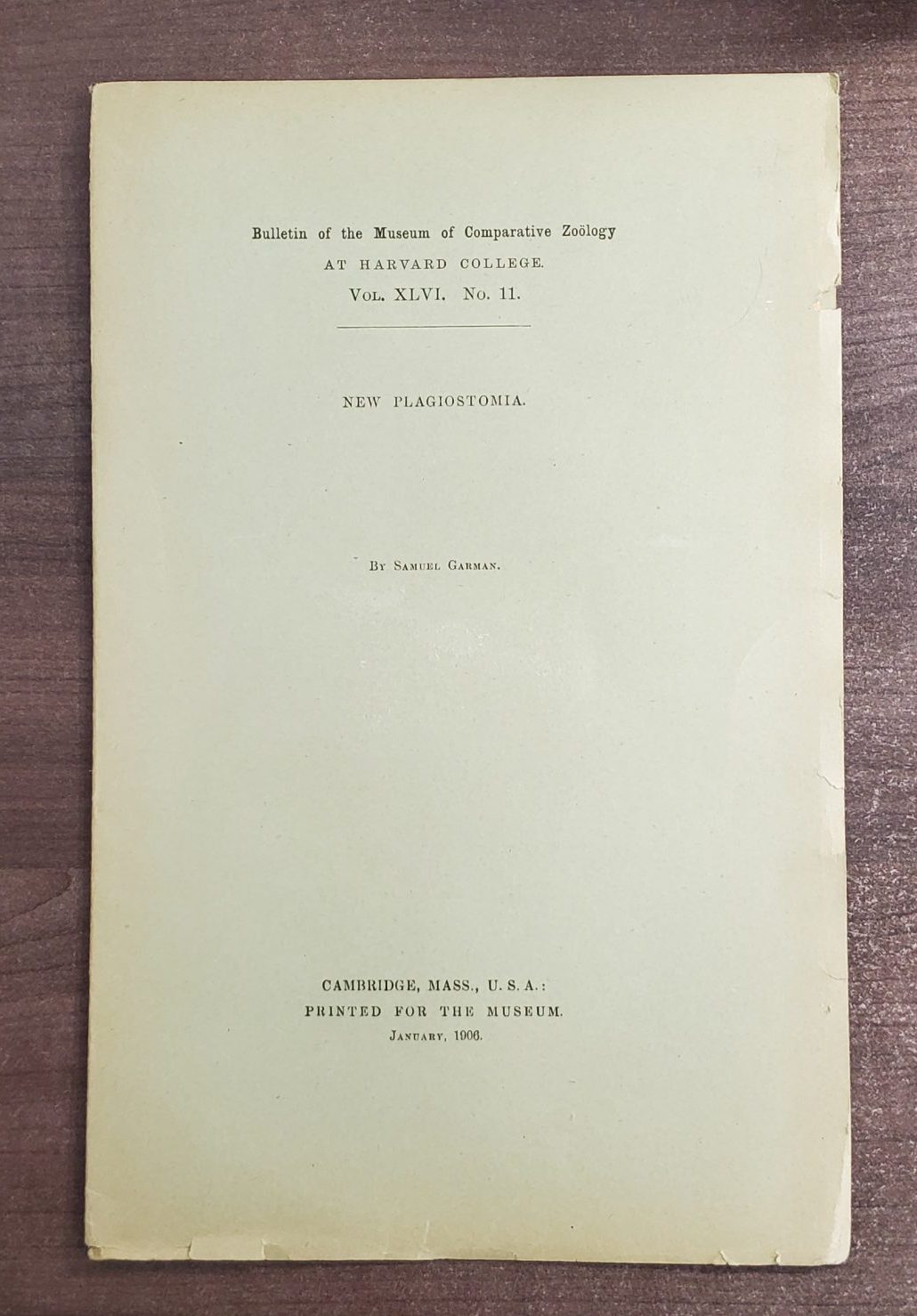 New Plagiostomia (Bulletin of the Museum of Comparative Zoology at ...