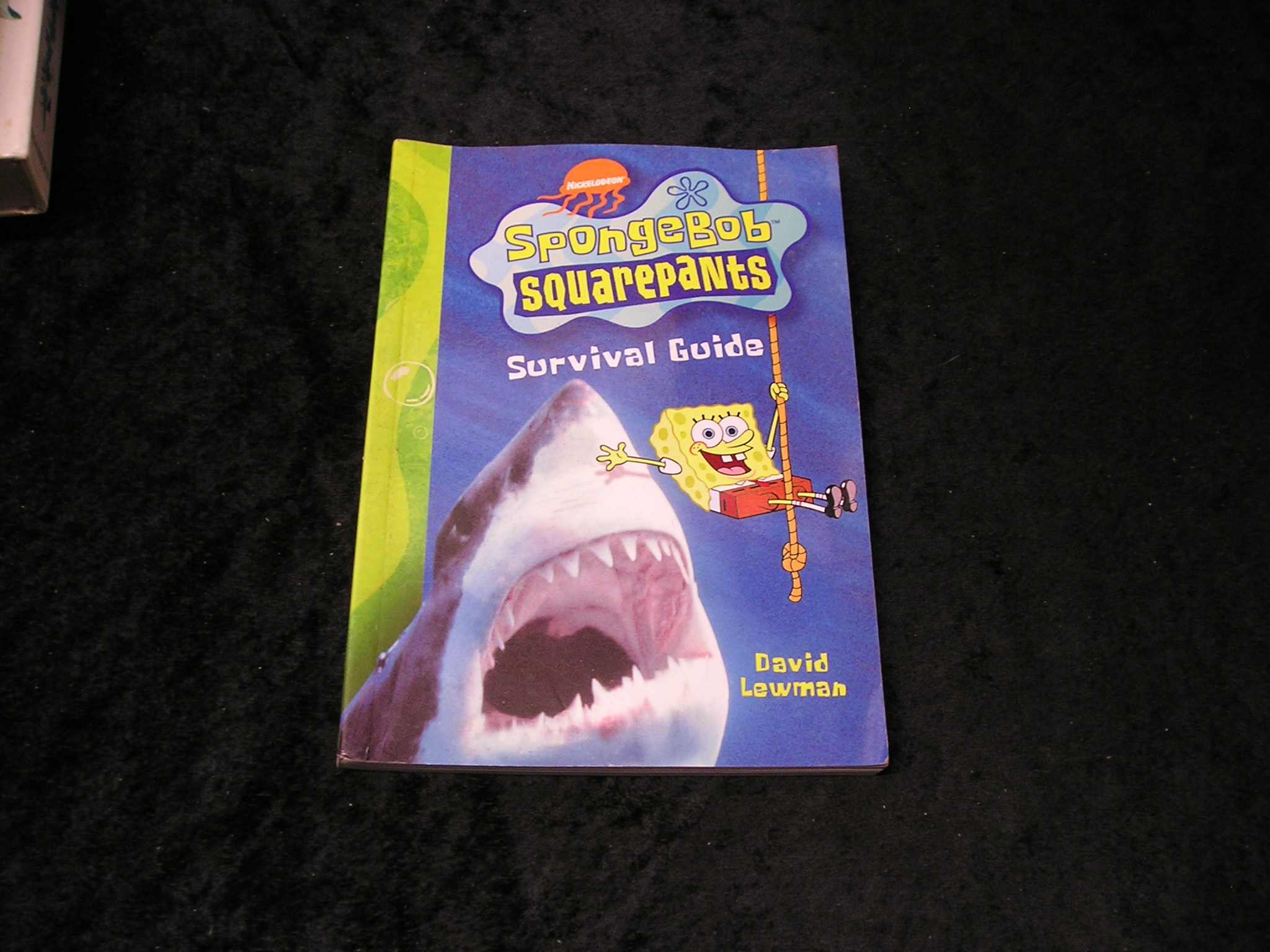 Spongebob Squarepants Survival Guide by David Lewman: Very Good ...