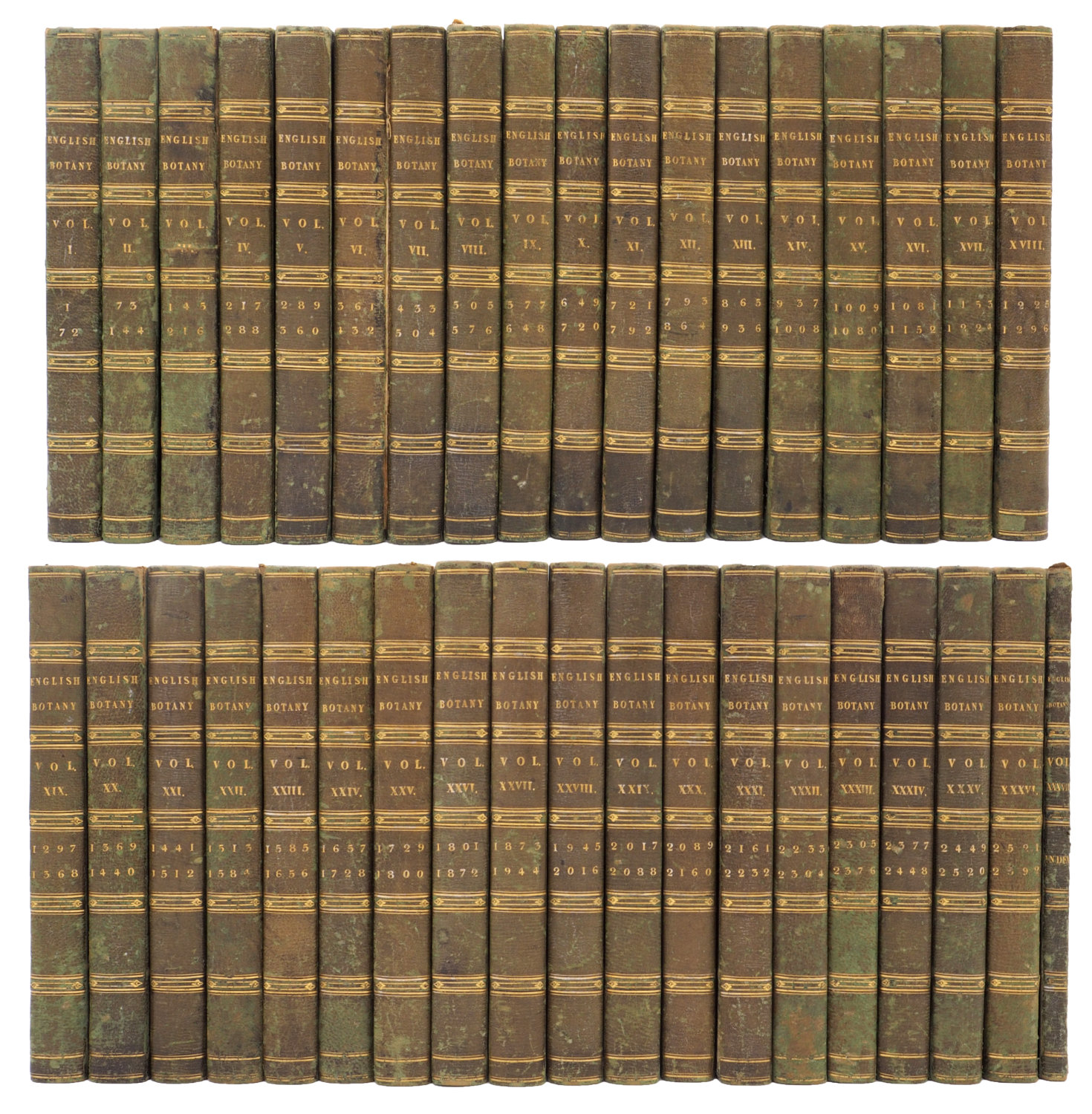 English Botany; or, Coloured Figures of British Plants, with their ...