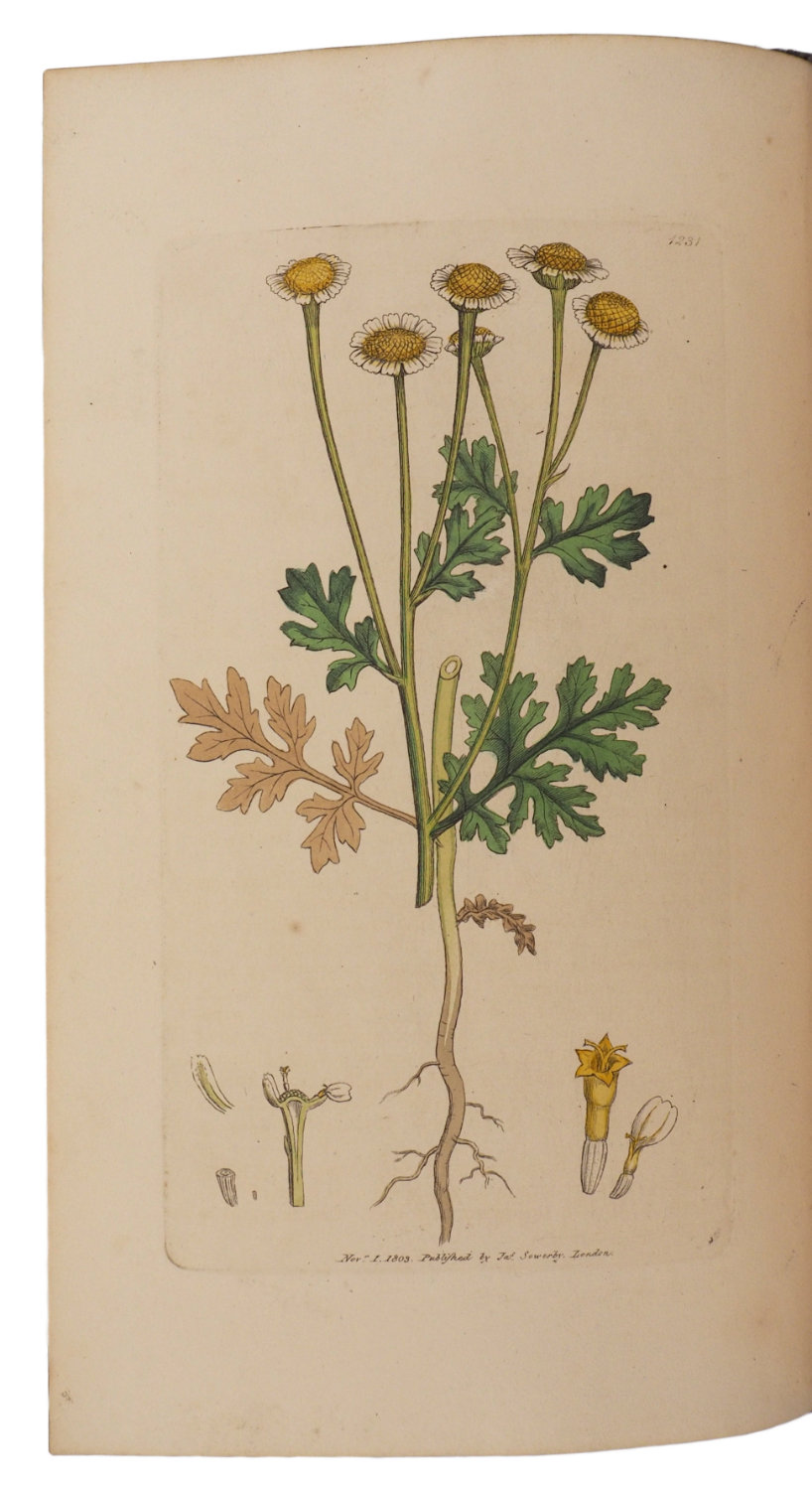 English Botany; or, Coloured Figures of British Plants, with their ...
