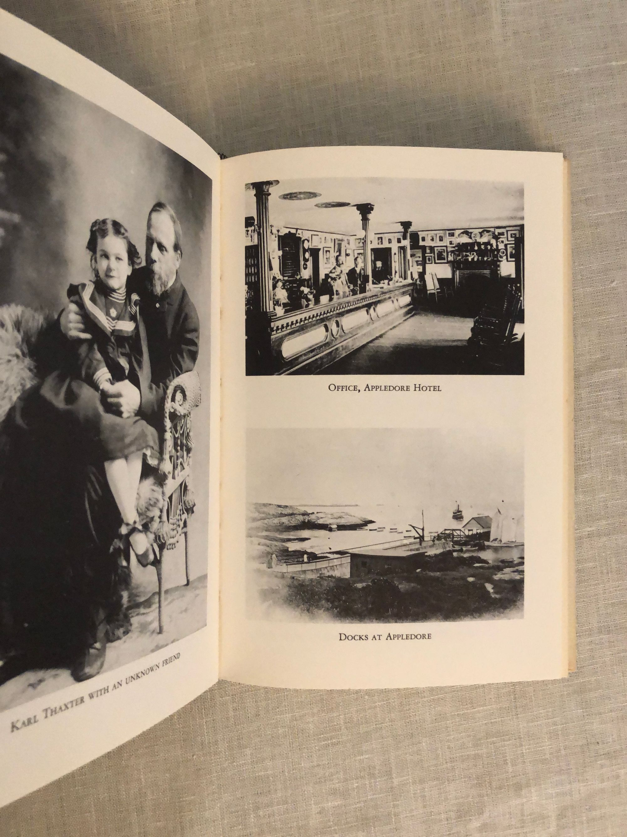 Sandpiper The Life and Letters of Celia Thaxter and her home on The ...